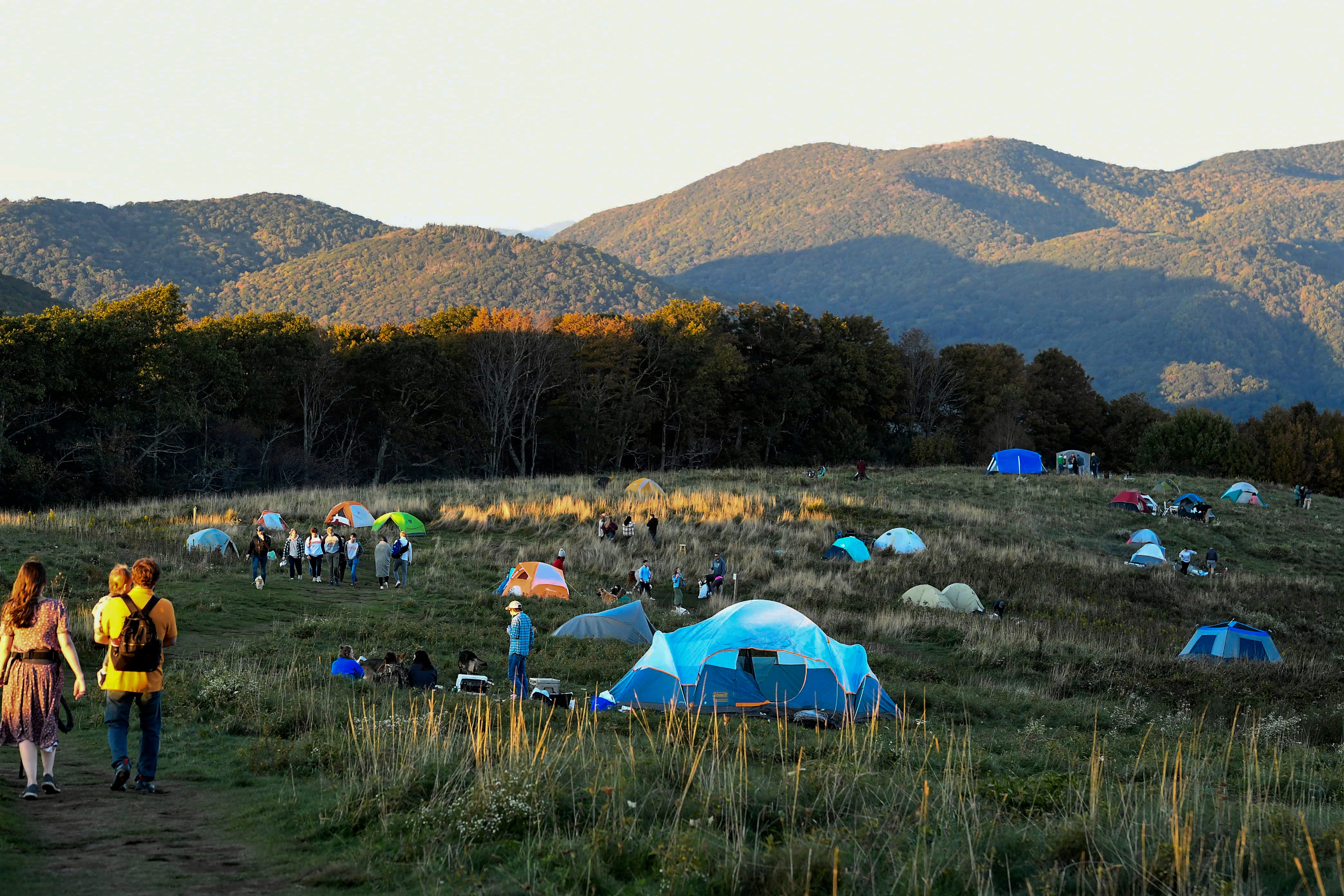 Max Patch overcrowding doesn't have a simple solution