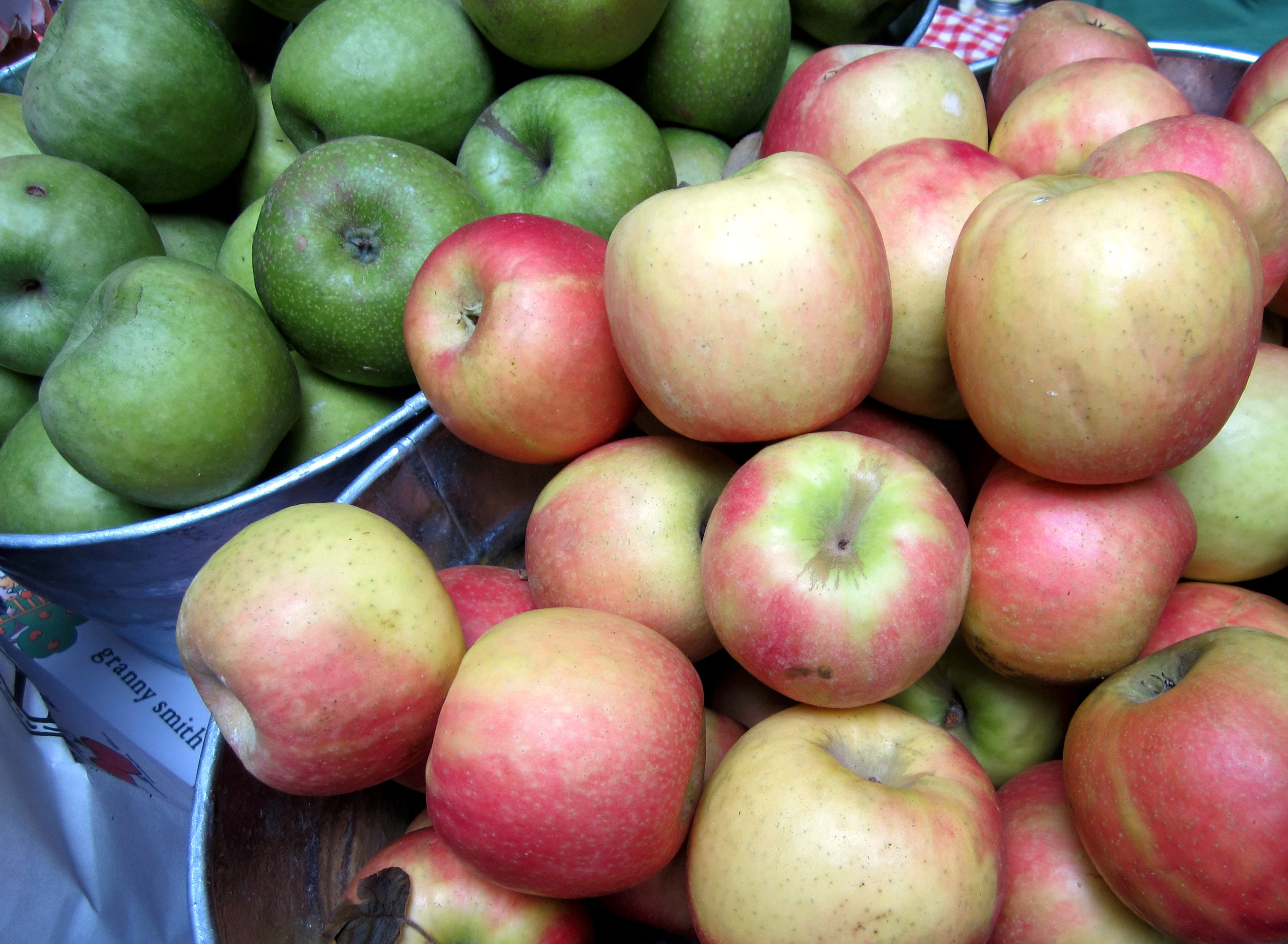Apple orchards to visit in WNC during 2022 harvest season