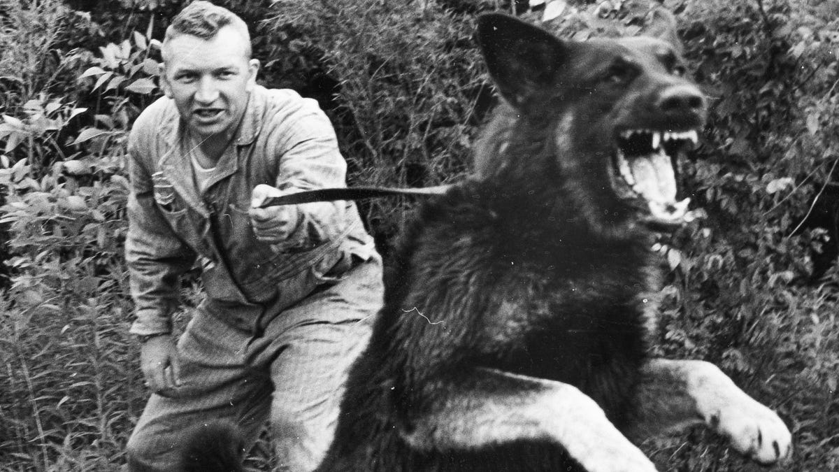 Civil Rights Marches Dogs