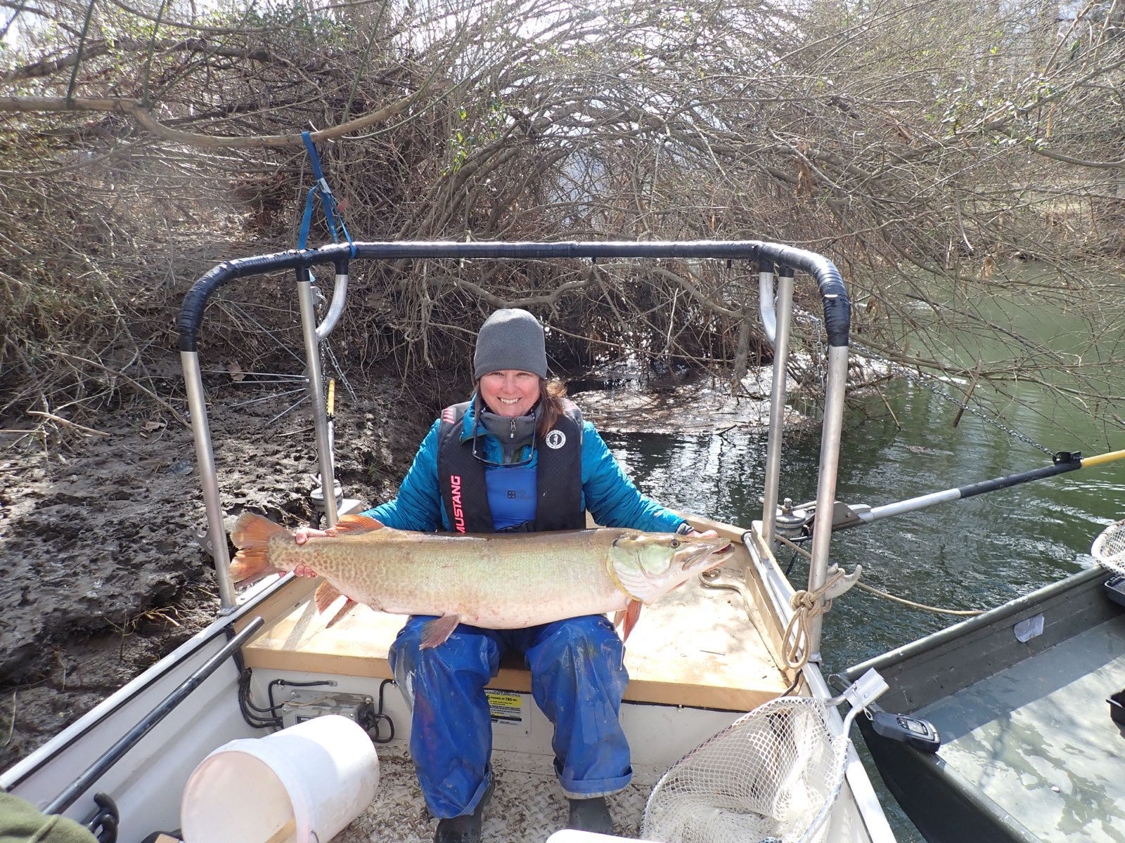 Giant muskie might soon be naturally spawning in the French Broad watershed