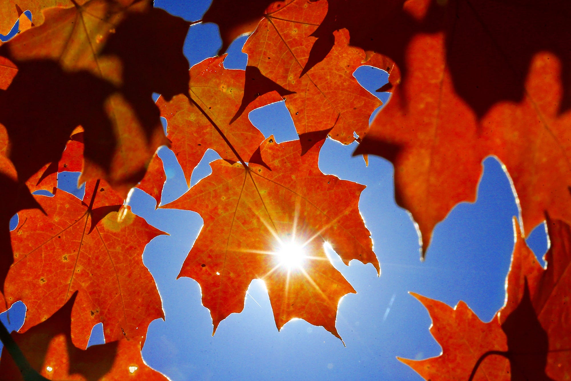 Northeast Ohio at near fall foliage peak of colors