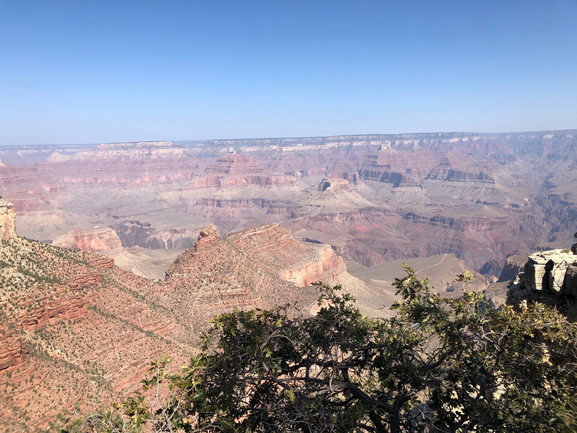 Grand Canyon south rim access road reopens after closure