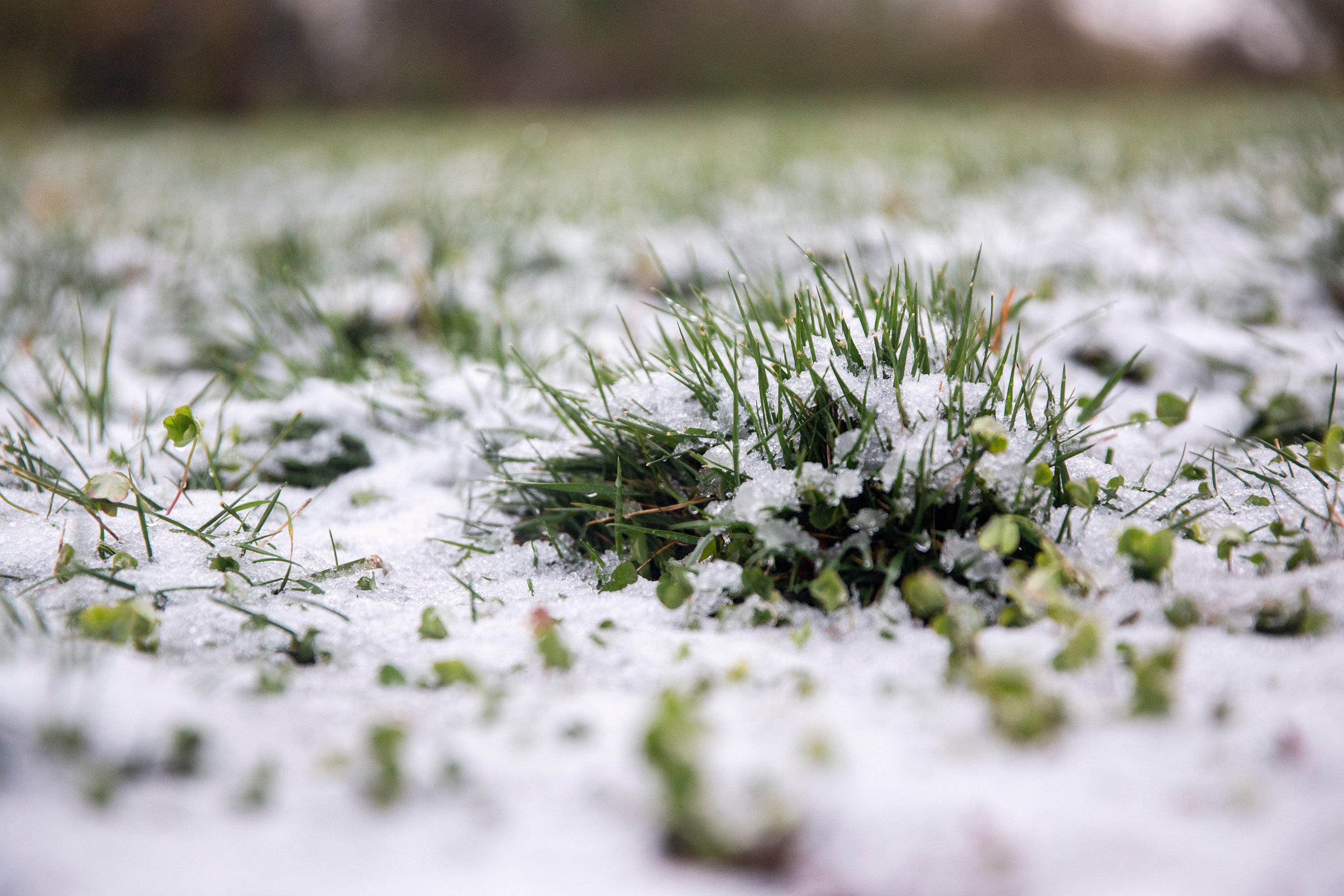 Iowa weather: What's a snow squall?