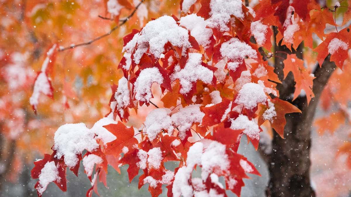 October snowfall from the snow squall around Des Moines