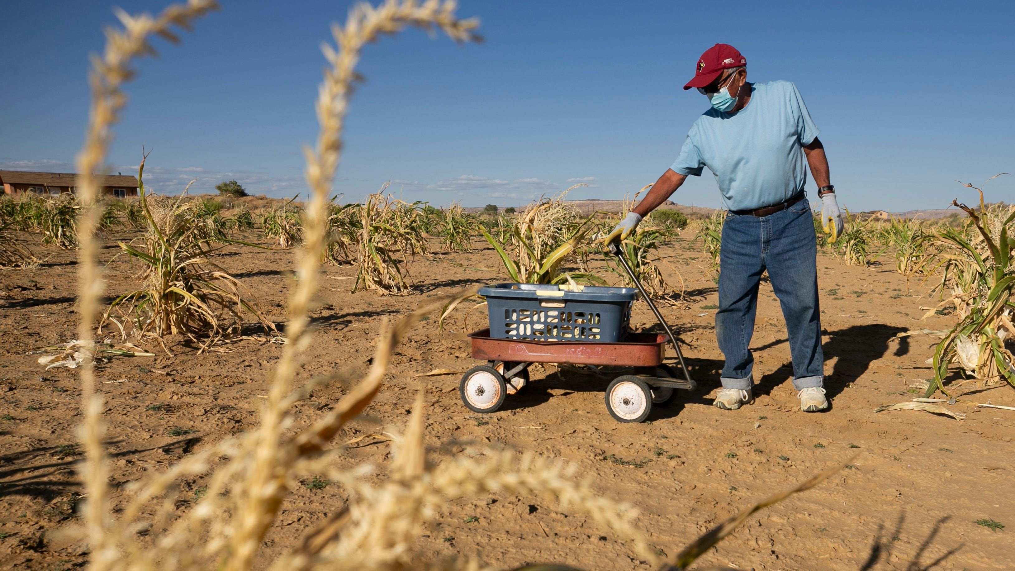 Hopi Indian Food | Deporecipe.co