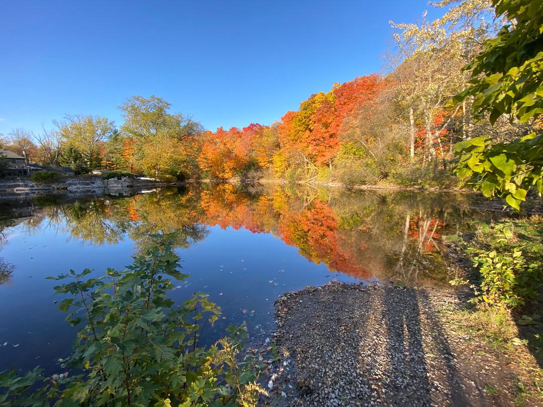 Wisconsin to be featured in ‘America’s Forests,’ hosted by Rolling ...