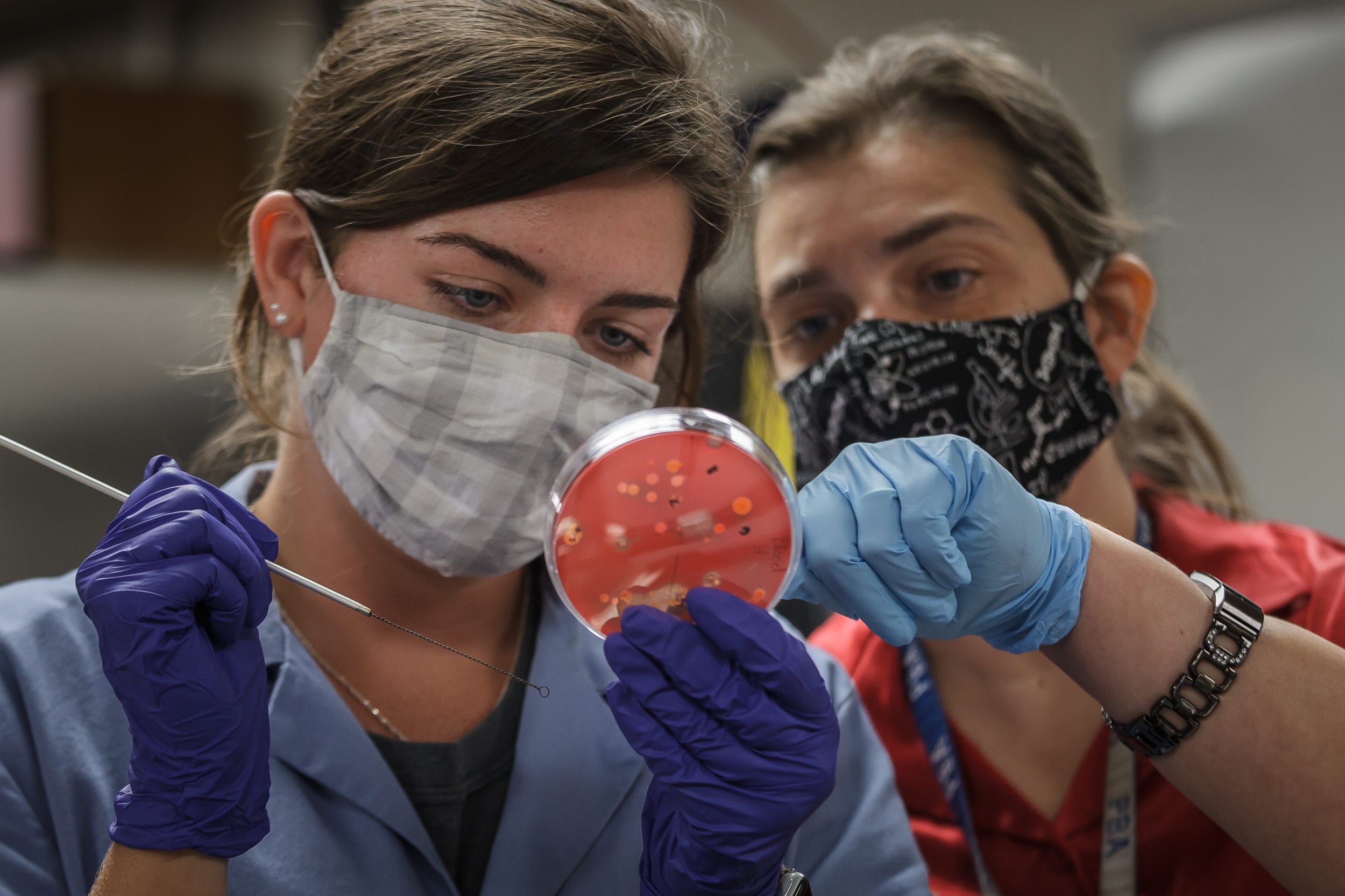 Medical waste washing up on Palm Beach investigated