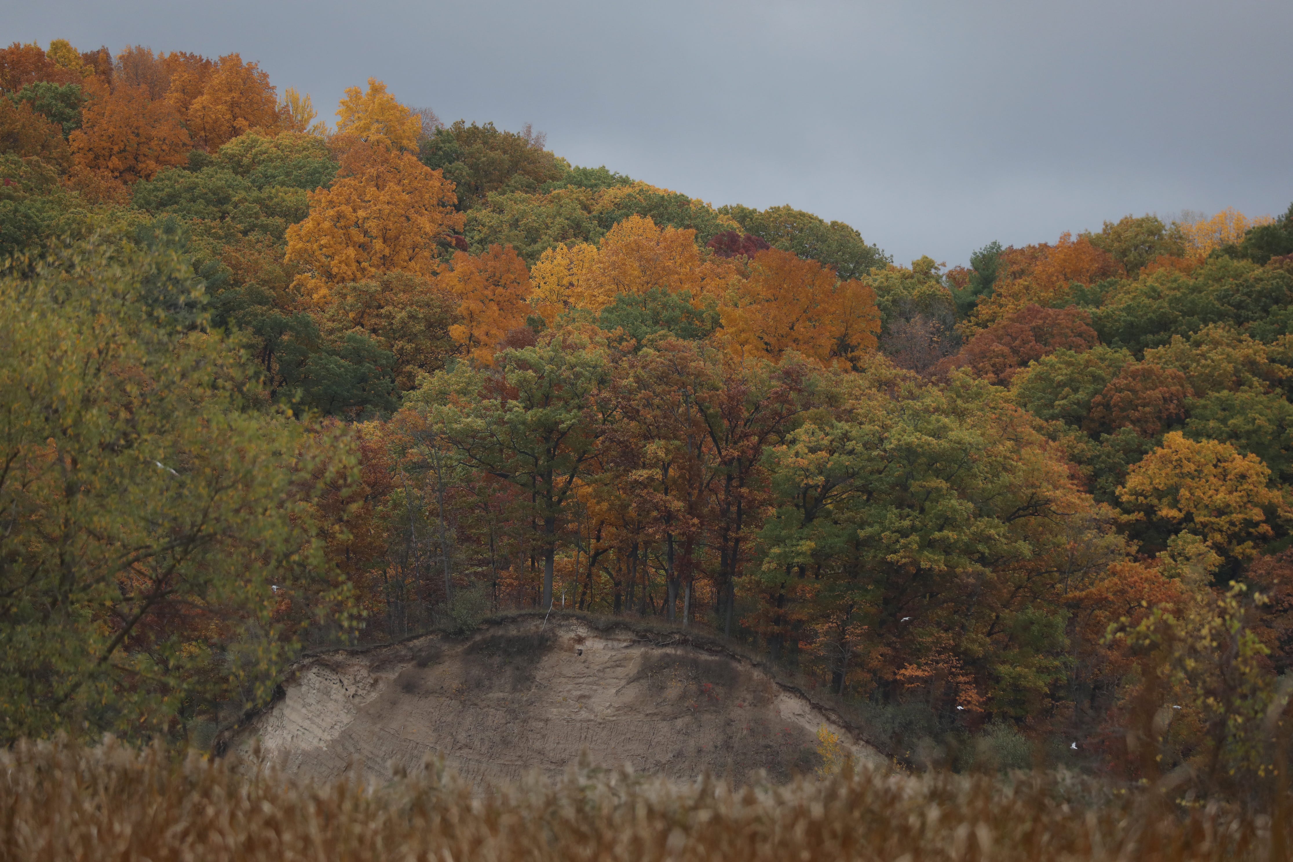 NY fall foliage map: Where to look for color this weekend.