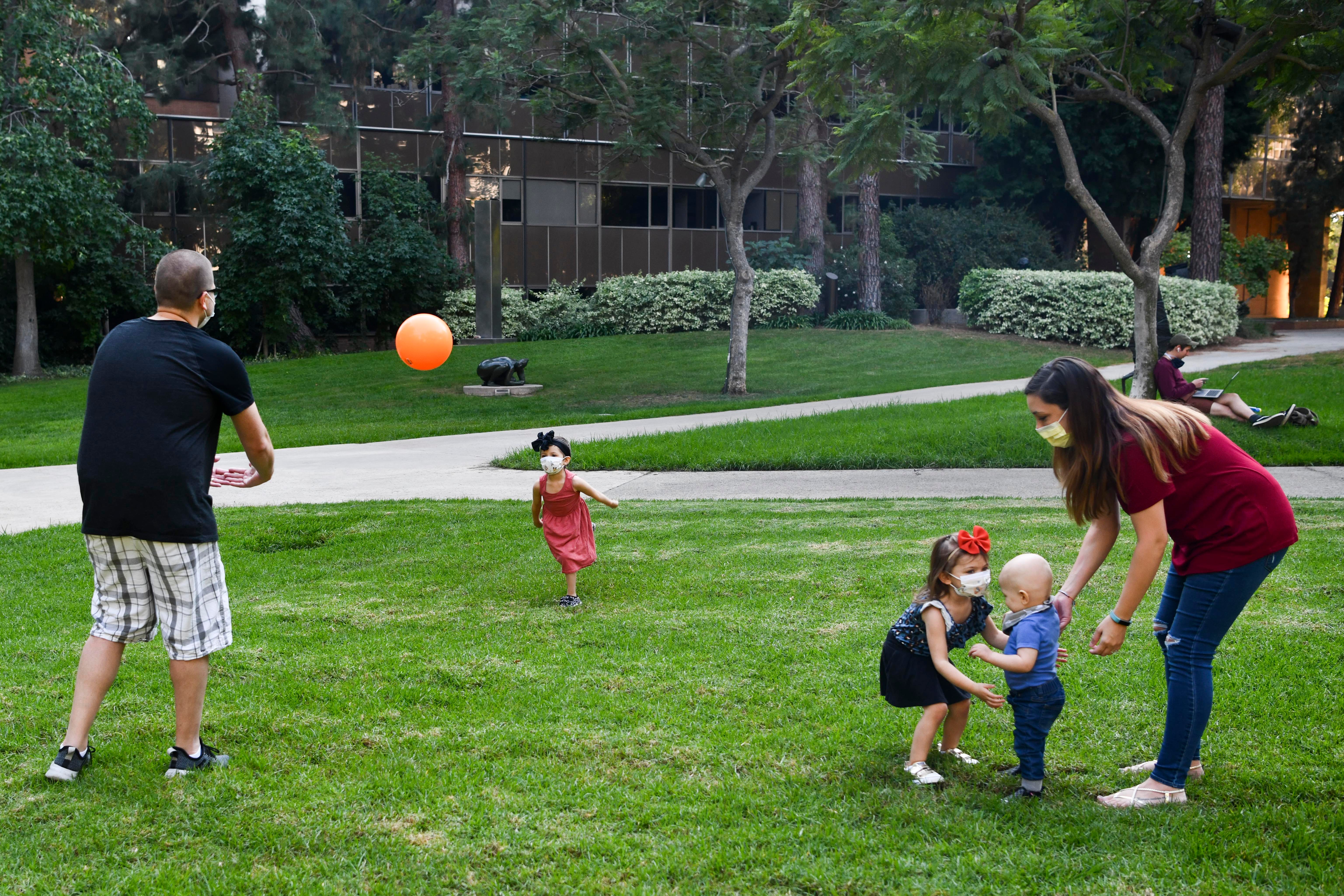 Stem Cell Therapy California S Prop 14 Seeks Tax Money For Research