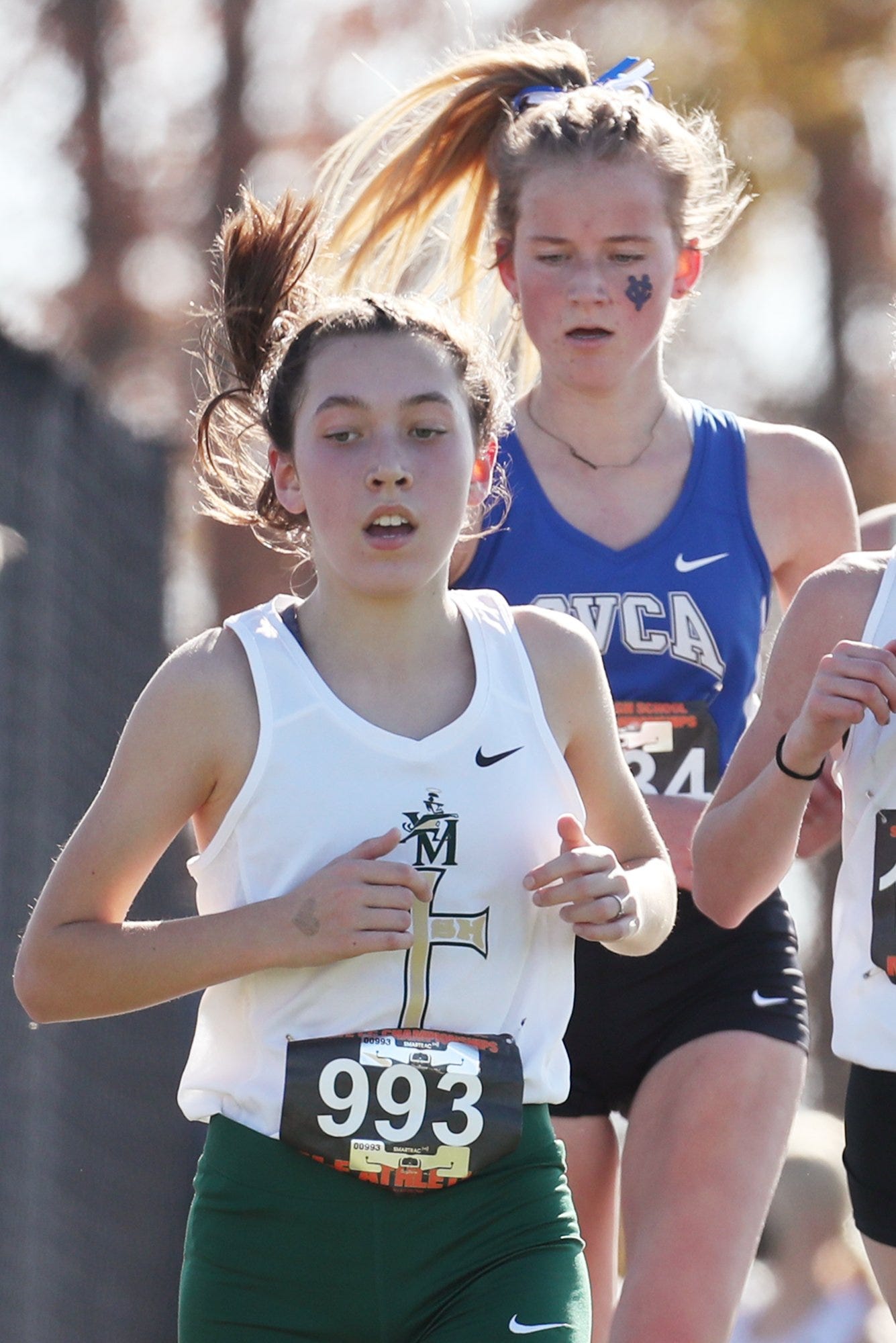 Akron-area high school girls cross country runners to watch in 2022