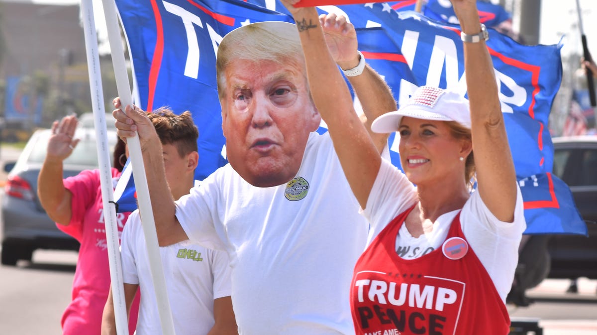 Stop the Steal rally