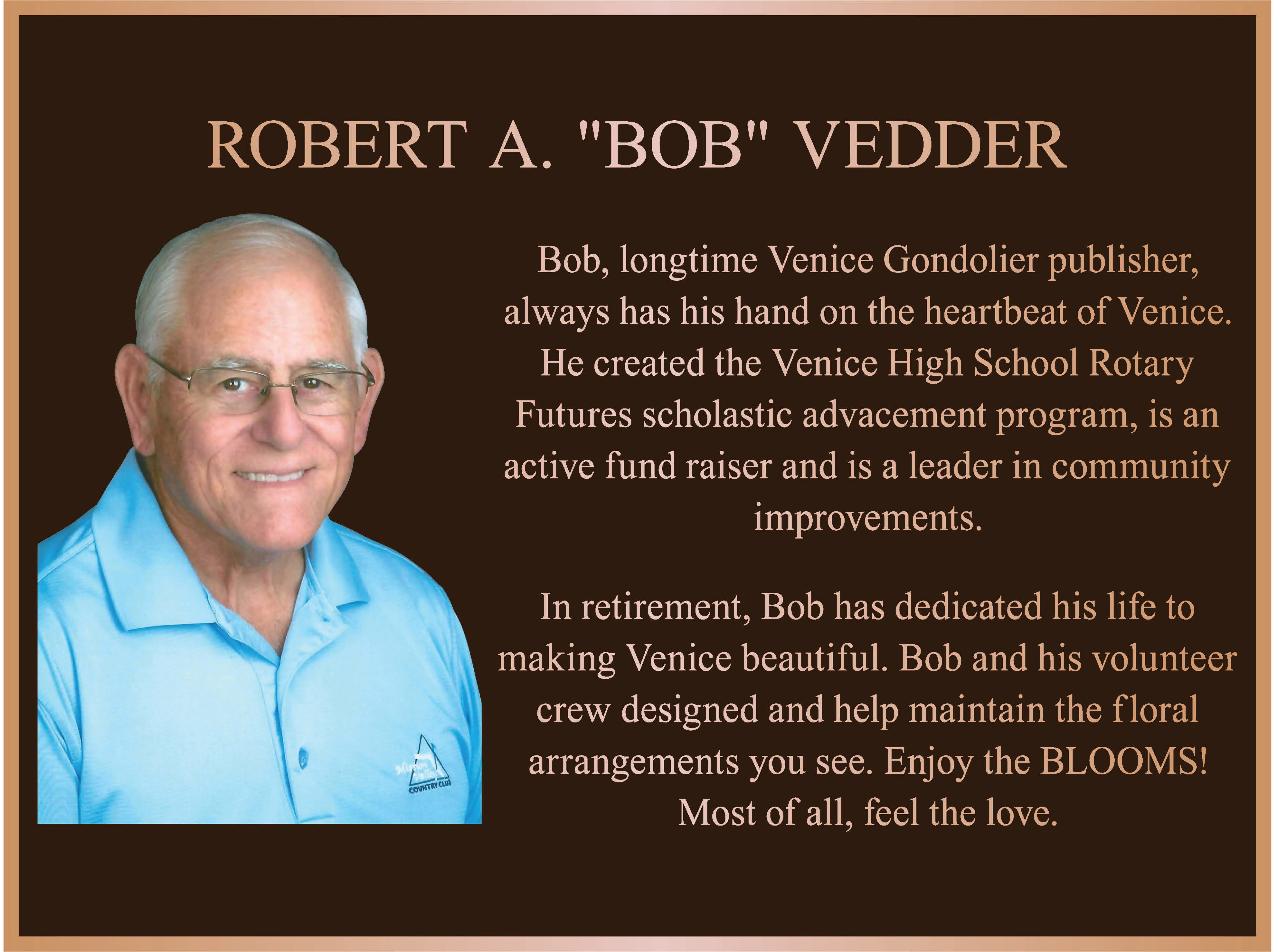 Venice may receive new mural, sea turtle sculpture