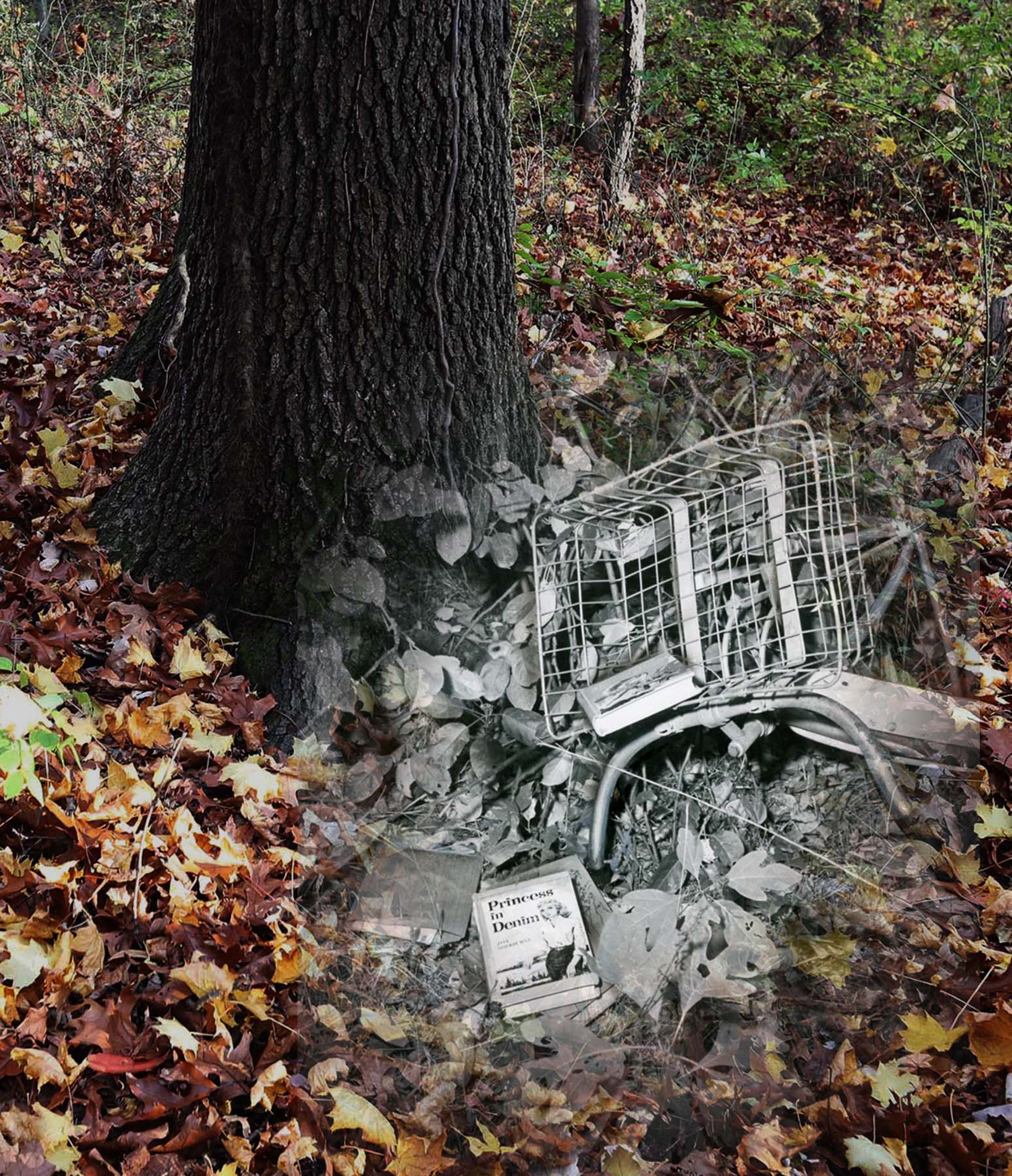 Exhumation fails to solve mystery of Coventry County girl's murder