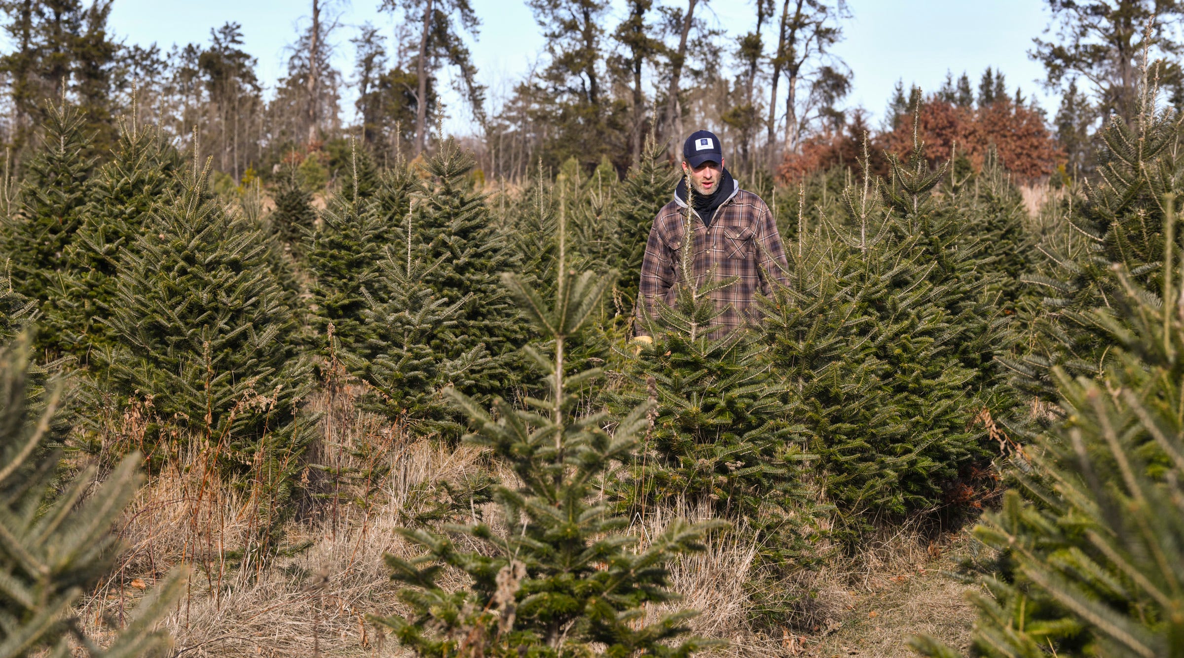 Tree farms bring back childhood memories during the holiday season