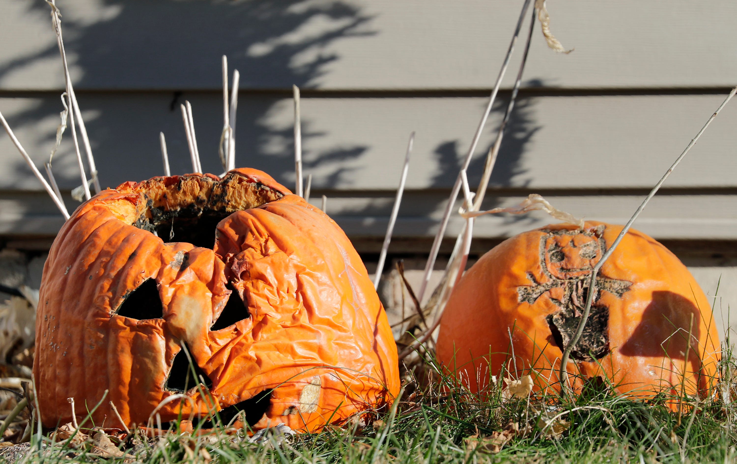Wisconsin fall: Behold the December pumpkins