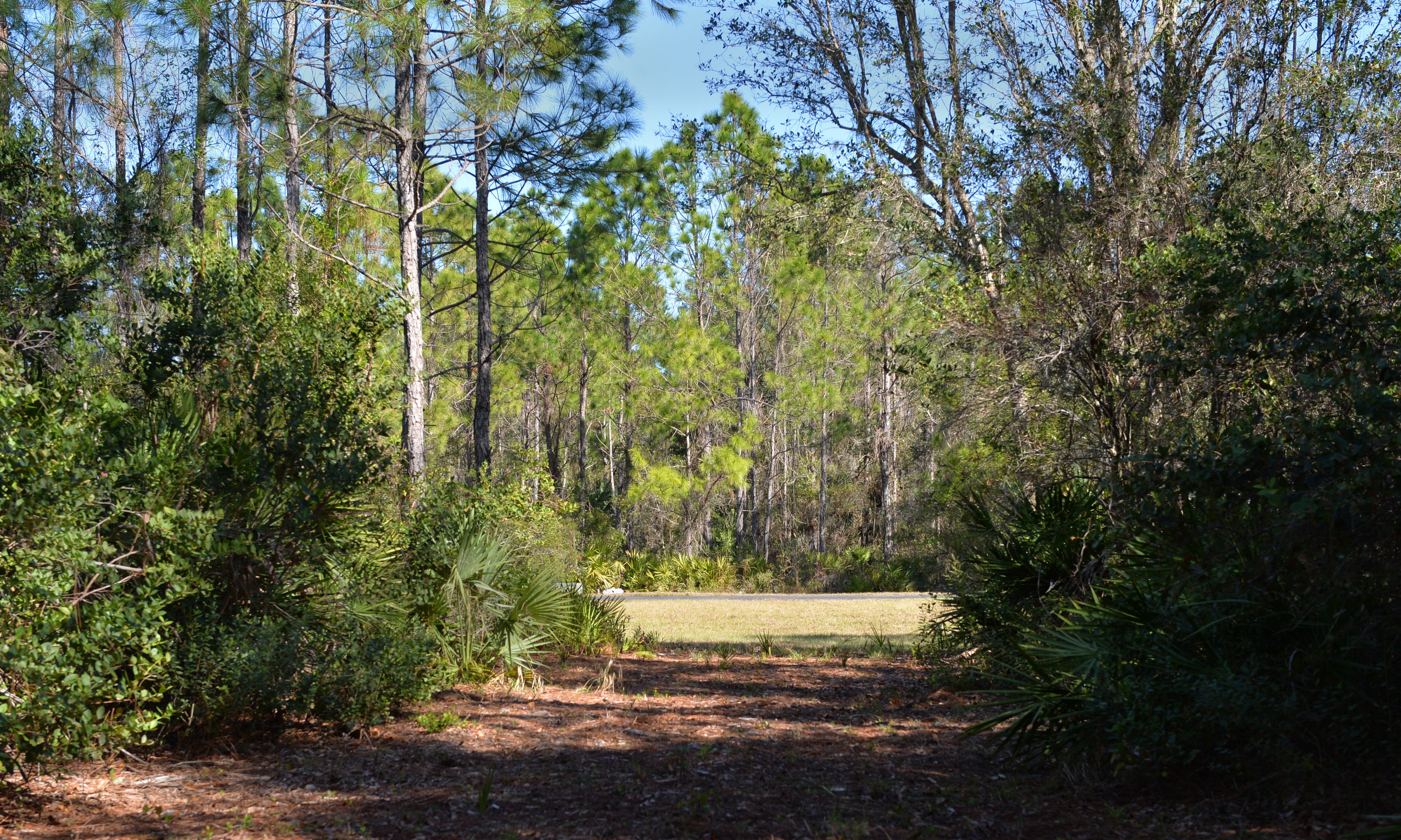 Hi Hat Ranch plan for 10,000-acres advances in Sarasota County