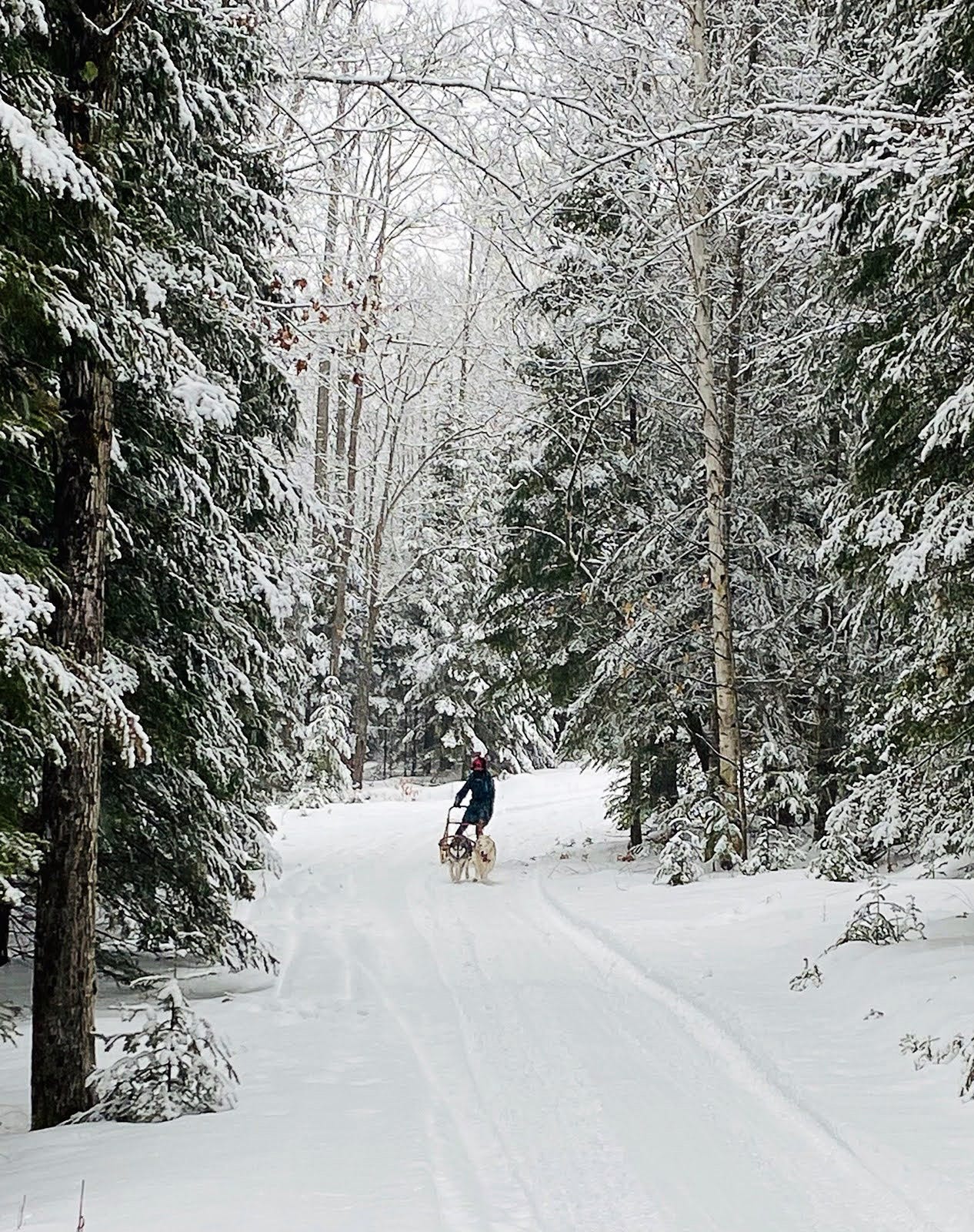 Wisconsin winter bucket list: 12 things you have to do