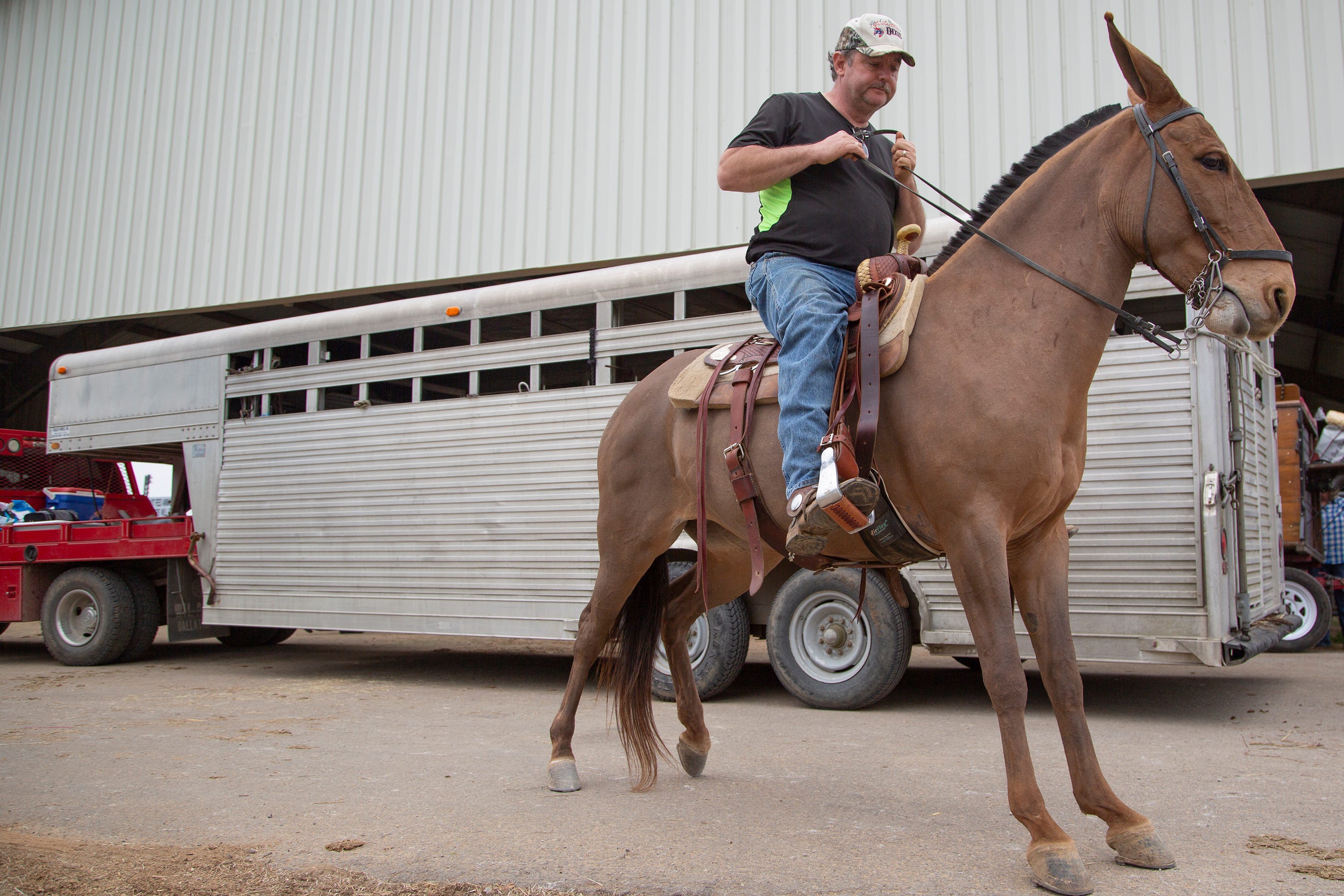 History of how Columbia's Mule Day started and keeps thriving