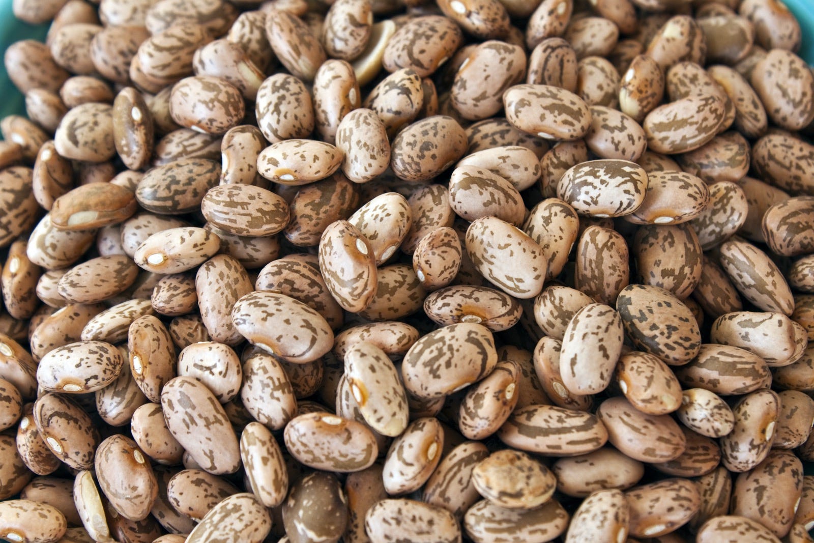 Beans a superfood. Here's 4 reasons to incorporate them into your diet