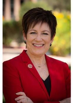 Arizona Senate: Sen. Christine Marsh, on key issues in District 4