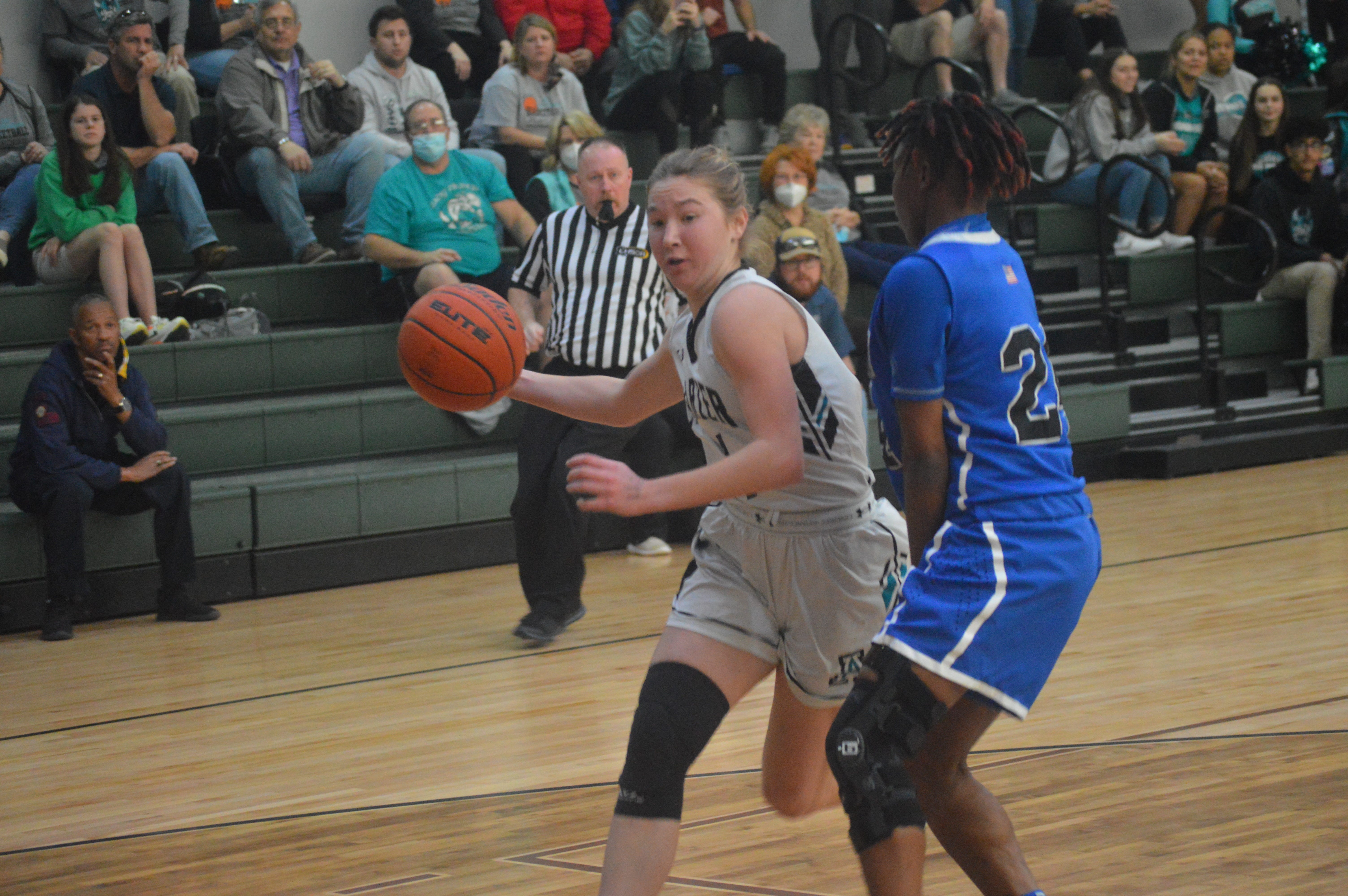 Alexandria area basketball All-Cenla girls team for 2022