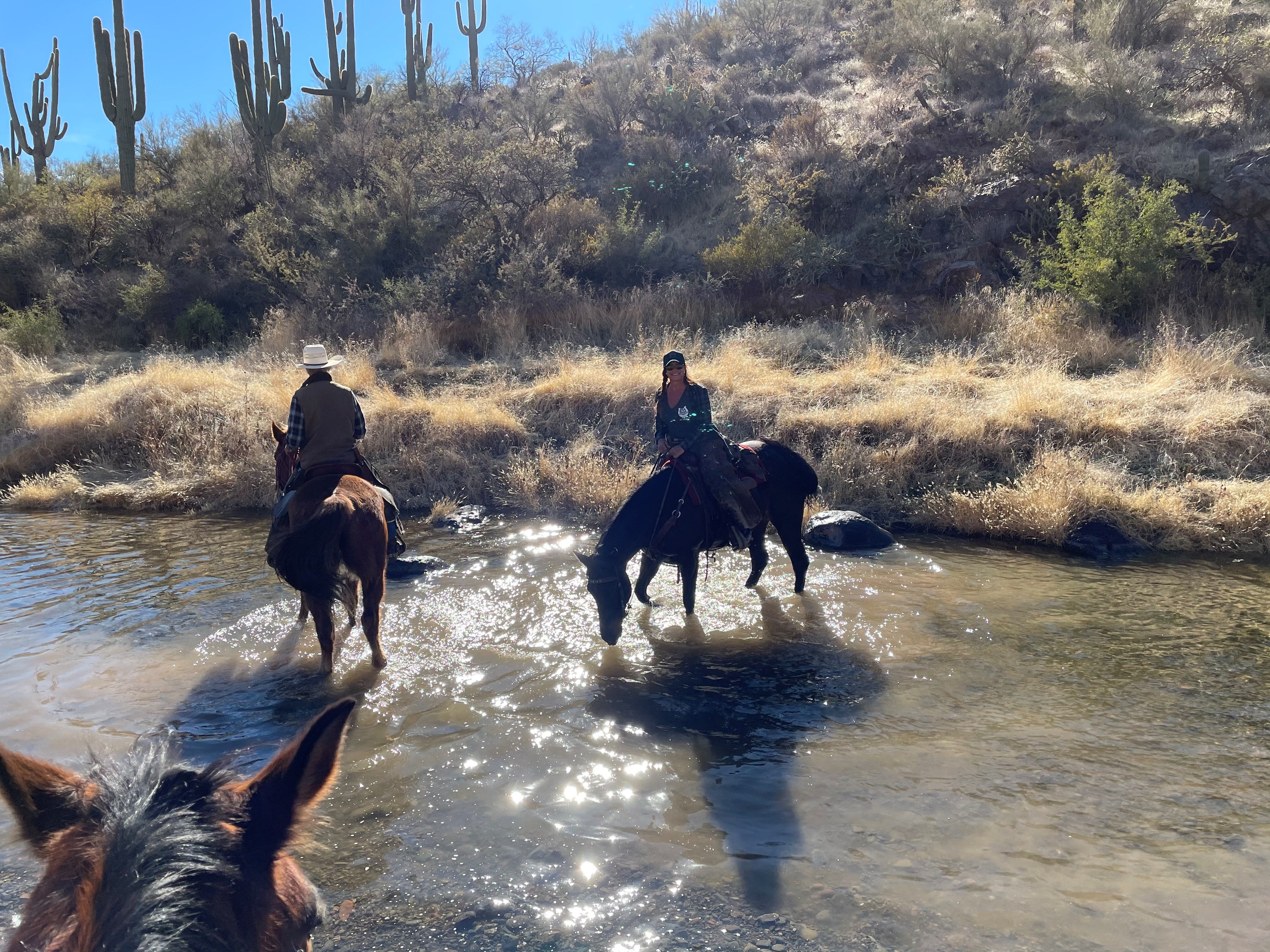 Horseback riding in Phoenix: Horse trail ride outfitters to try