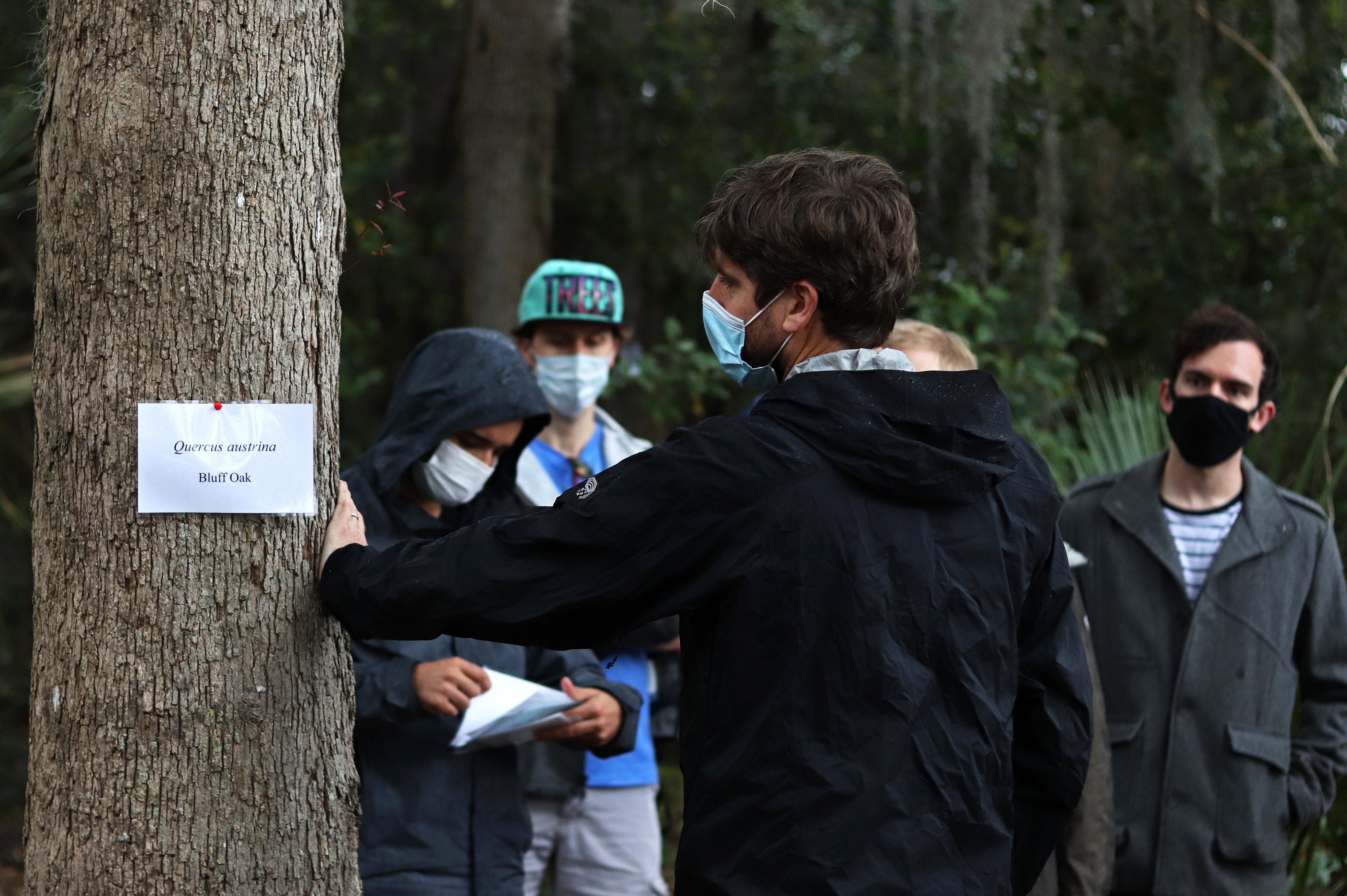 UF's McCarty Woods tour shows trees that could be lost to development