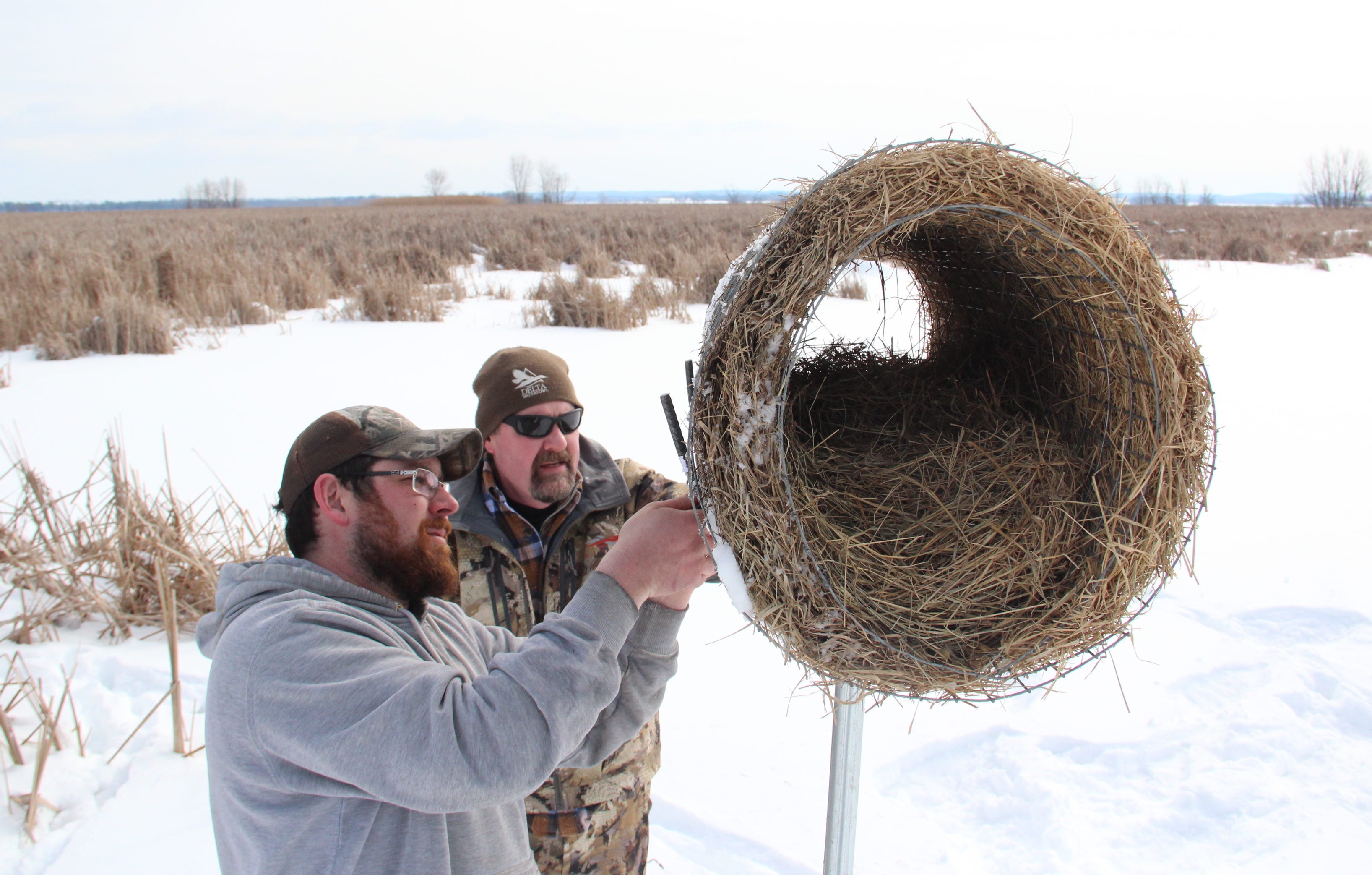 Elevated structures help improve duck nesting success