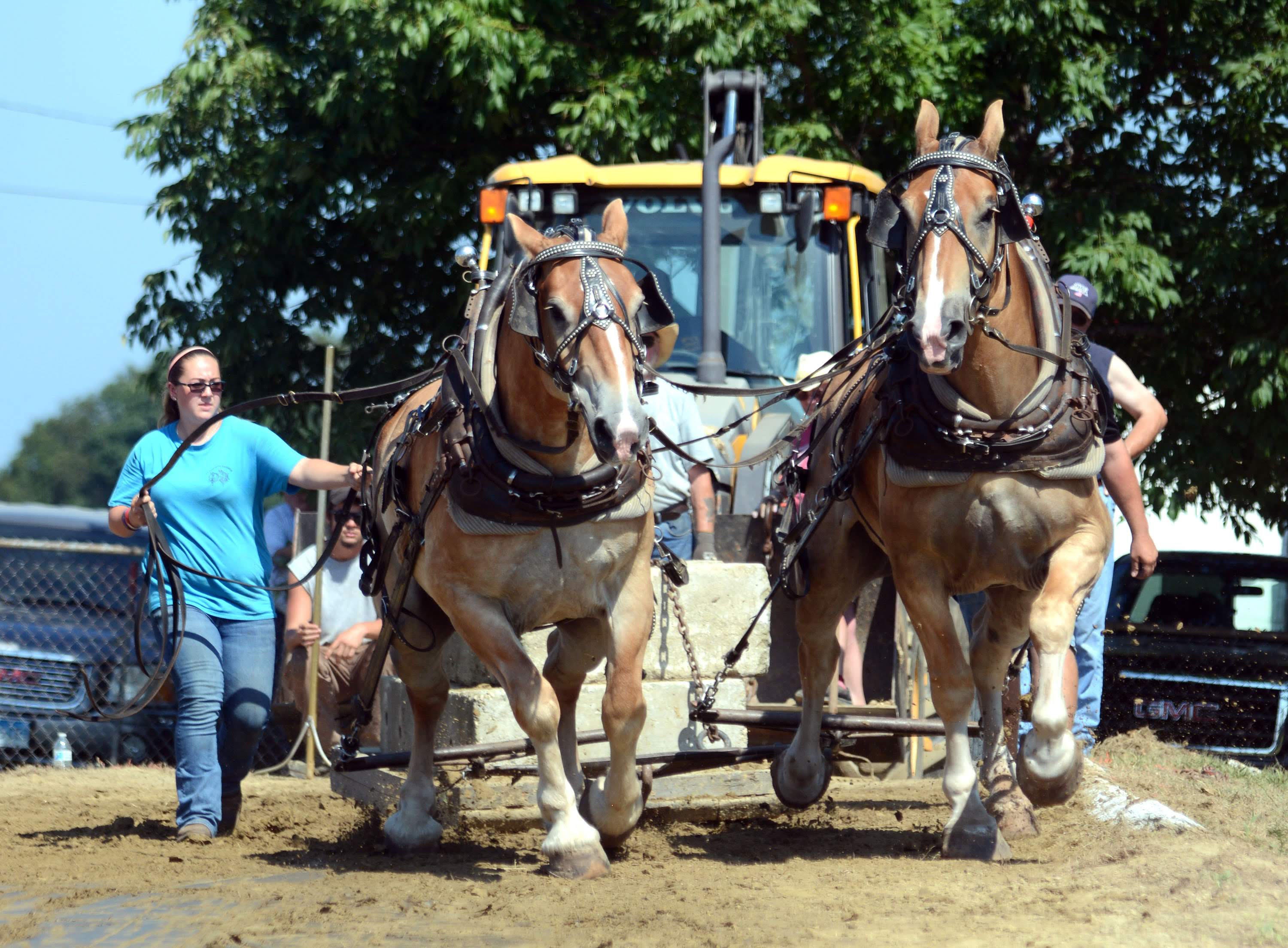 Agricultural fairs return in Massachusetts and Connecticut after Covid-19