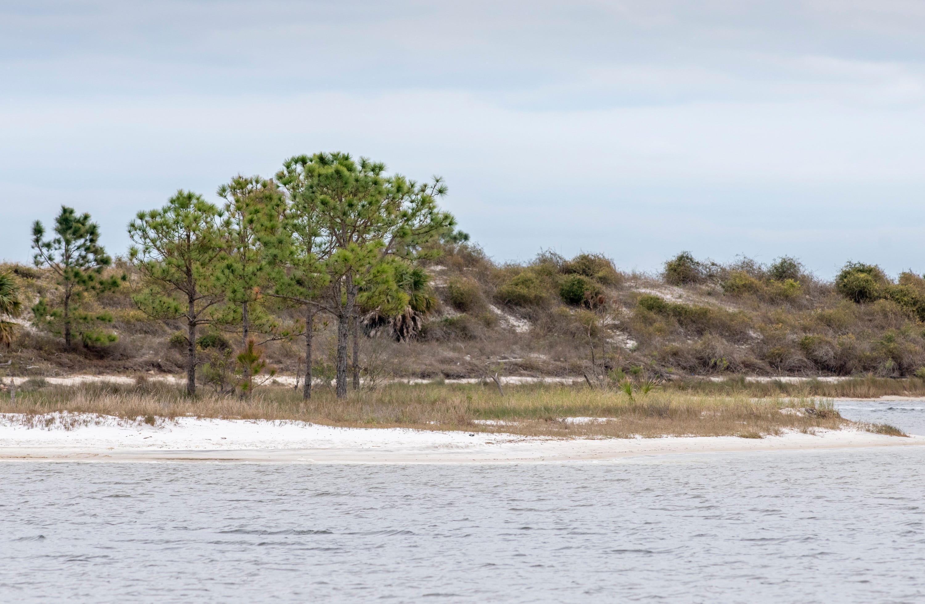 White Island gets living shoreline to restore Escambia County treasure