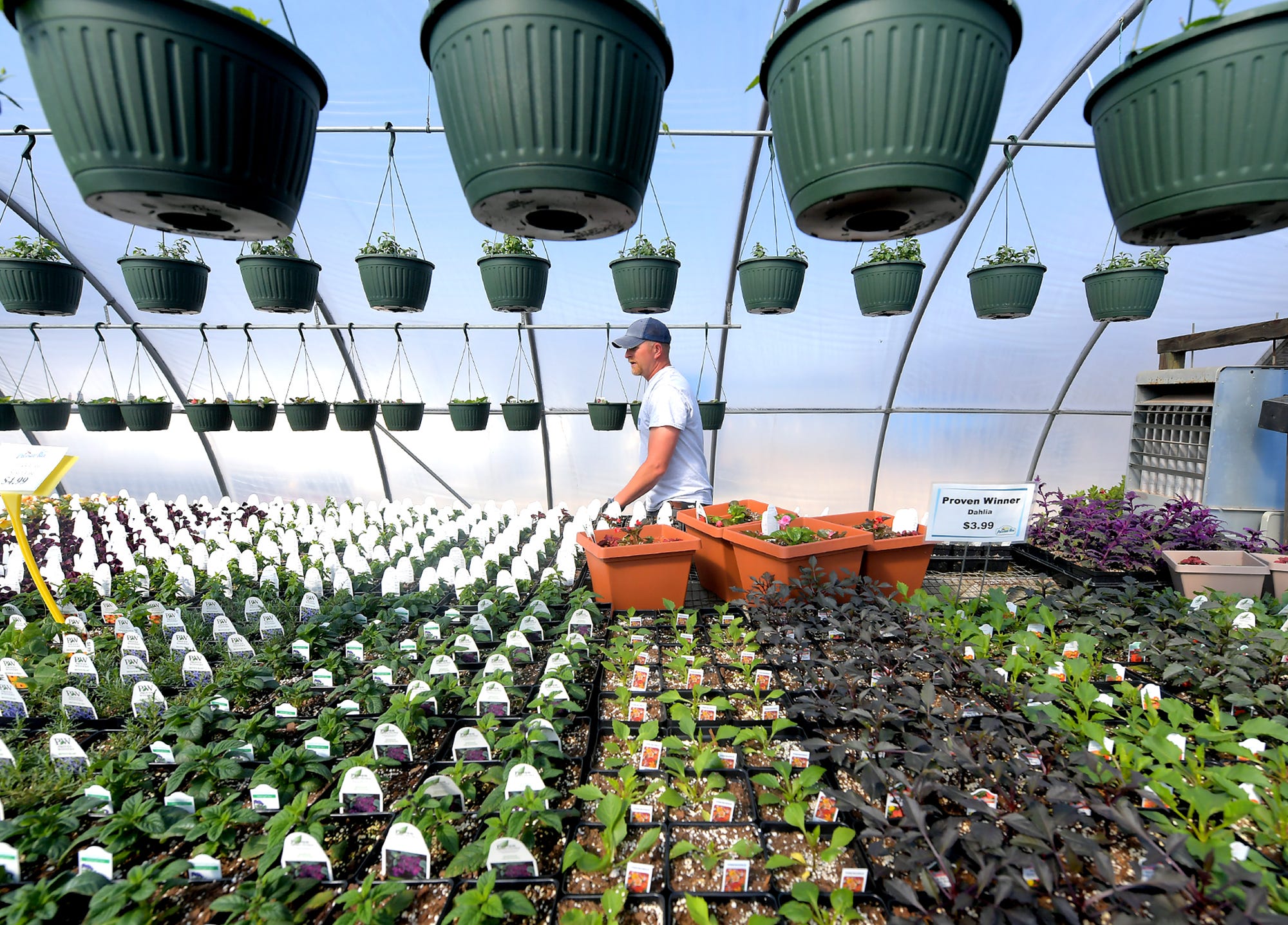 Business - York Dispatch