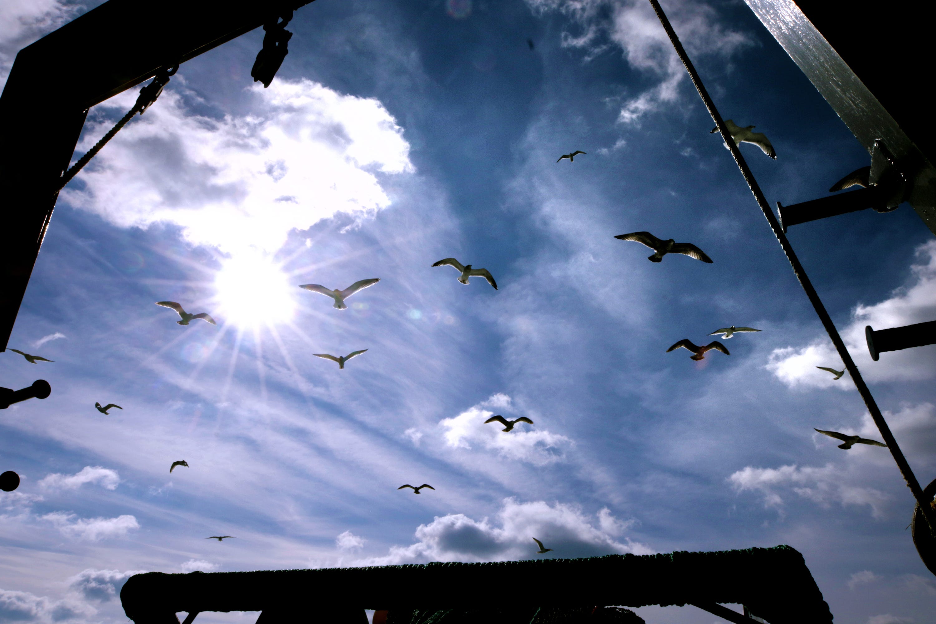 Environment: RI saved winter flounder once. It might be too late now