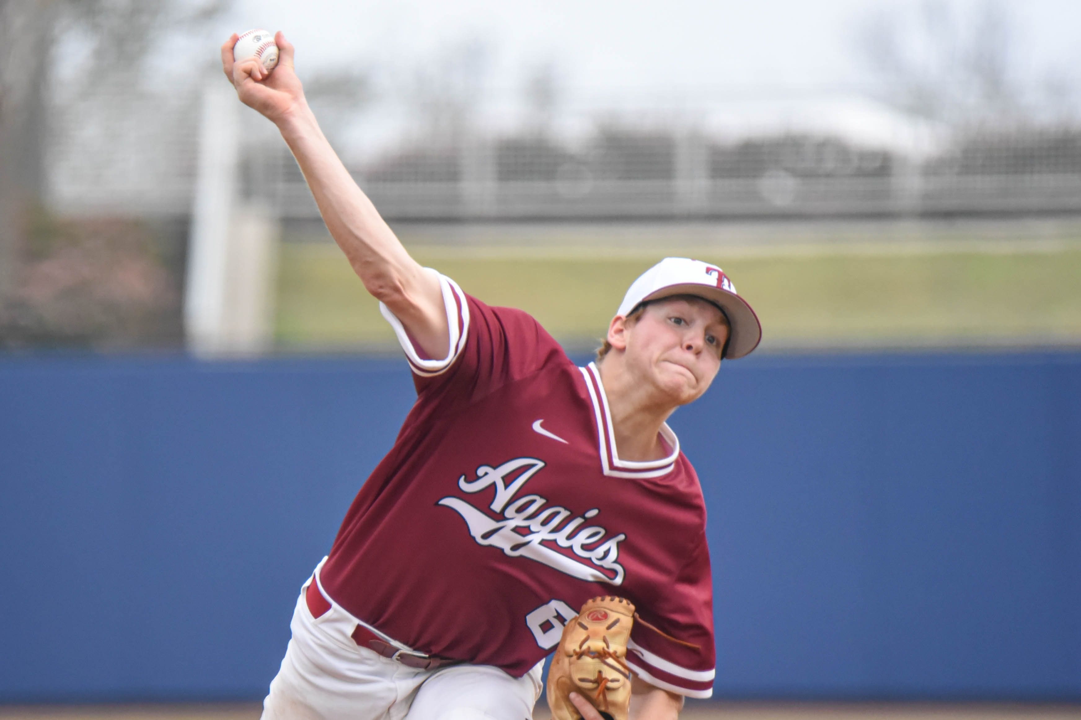 2021 PNJ All-Area: Spring sports award winners