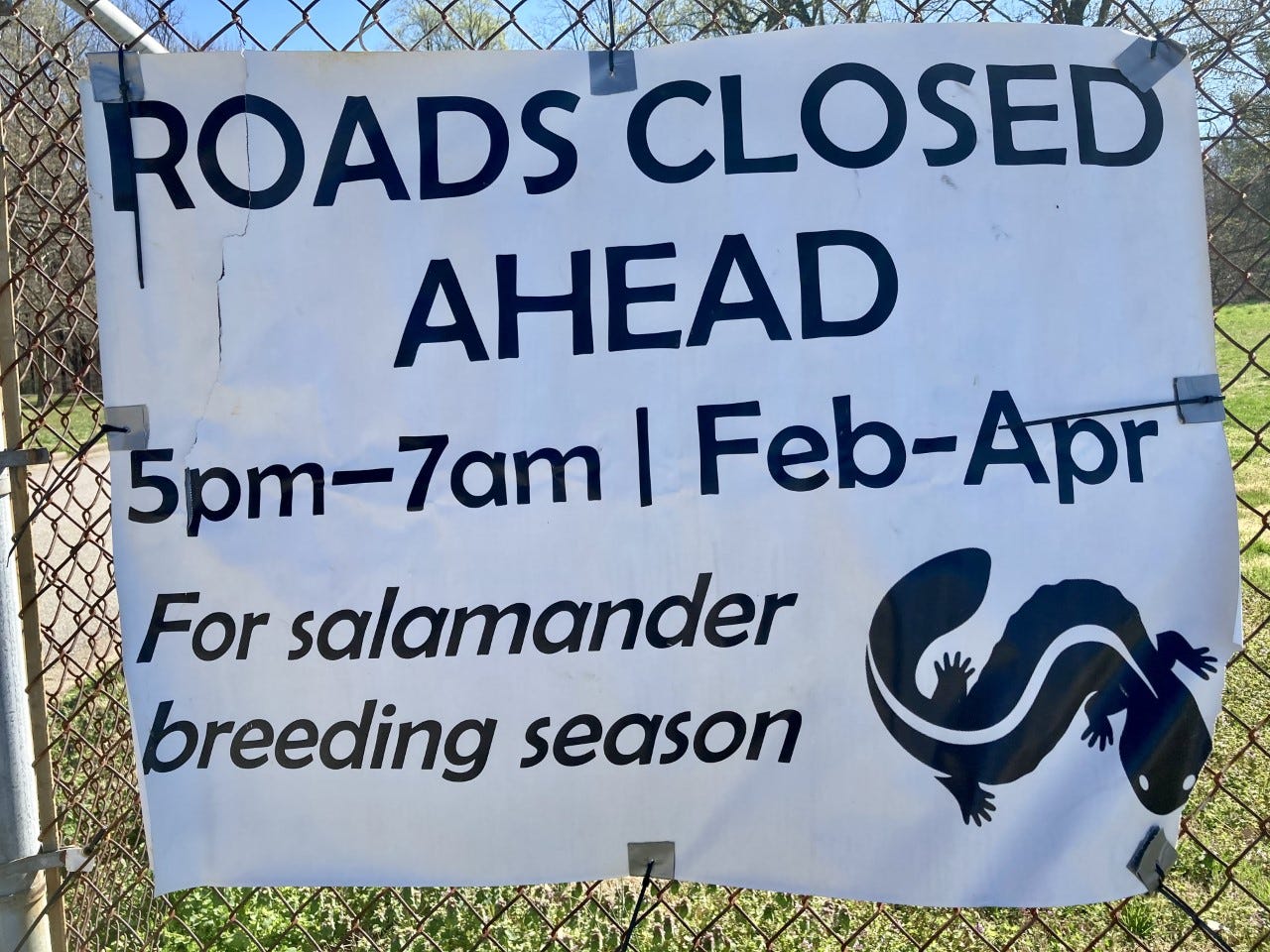 Wesselman Woods fundraising campaign's goal: saving the salamanders