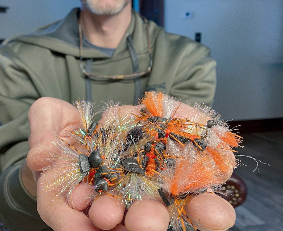 Cicadas bait in Pennsylvania will create. great fishing for trout, bass