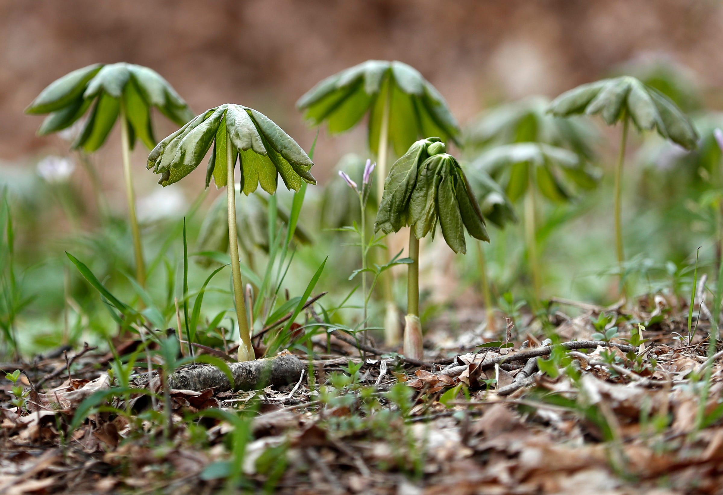 James Thom reflects on 40th anniversary of his novel Follow the River
