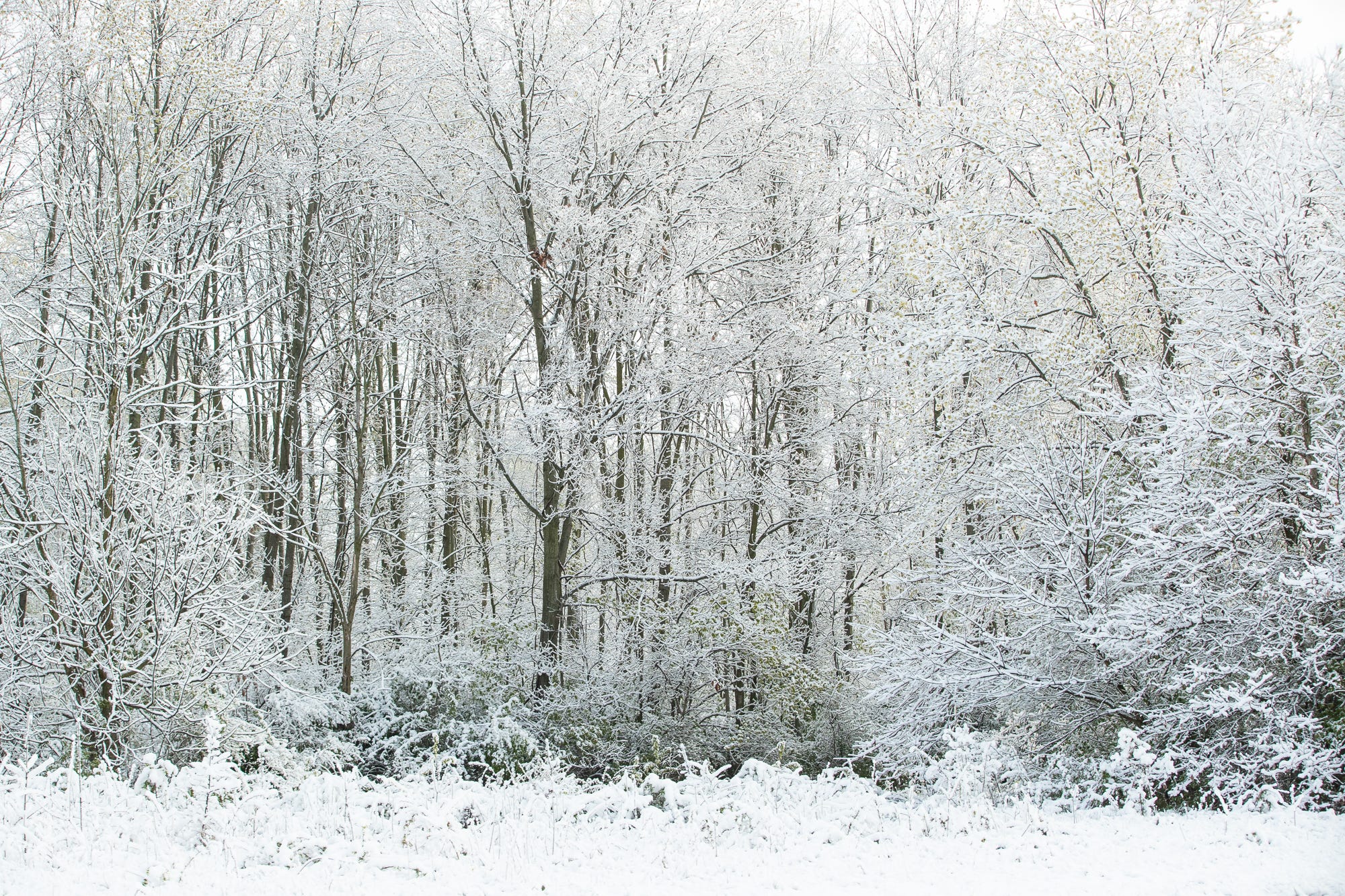 Central Indiana weather forecast: More snow coming for Indianapolis