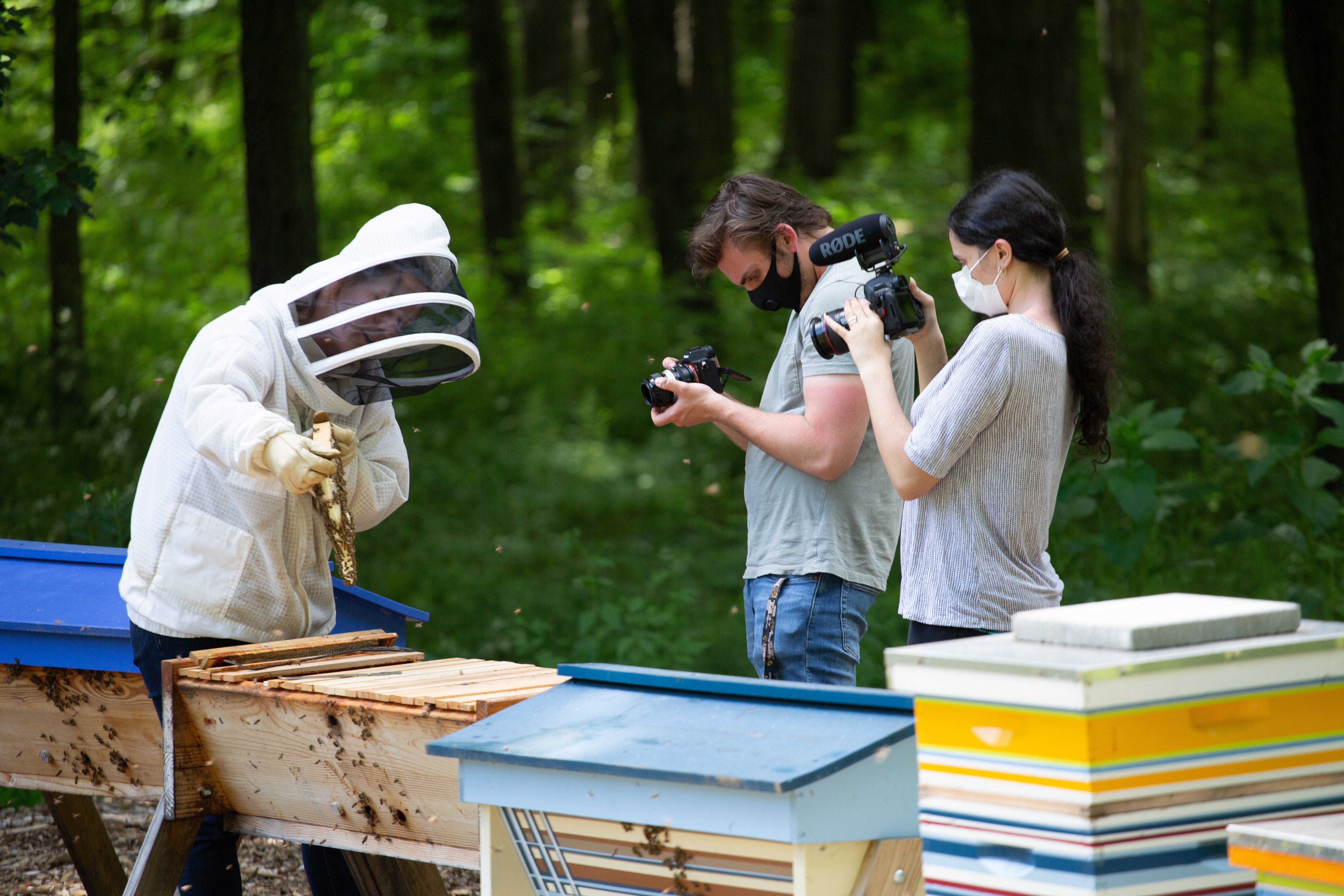Bee Aware: Bee-keeping documentary is buzzing for Earth Day
