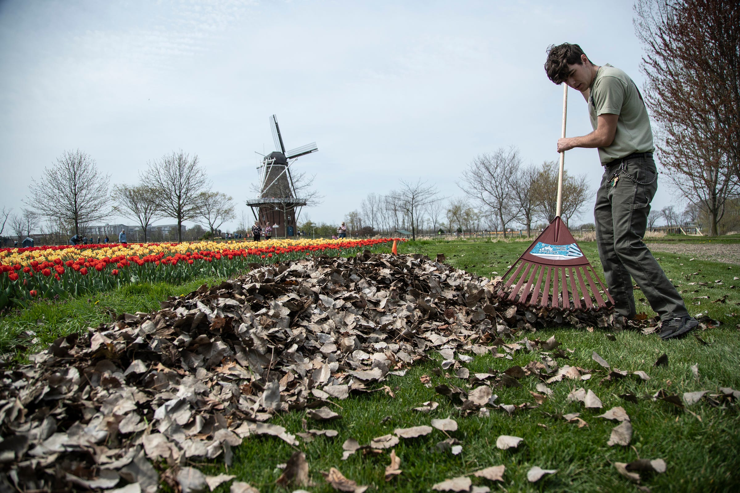Holland's Tulip Time Festival is back: How it's different this year