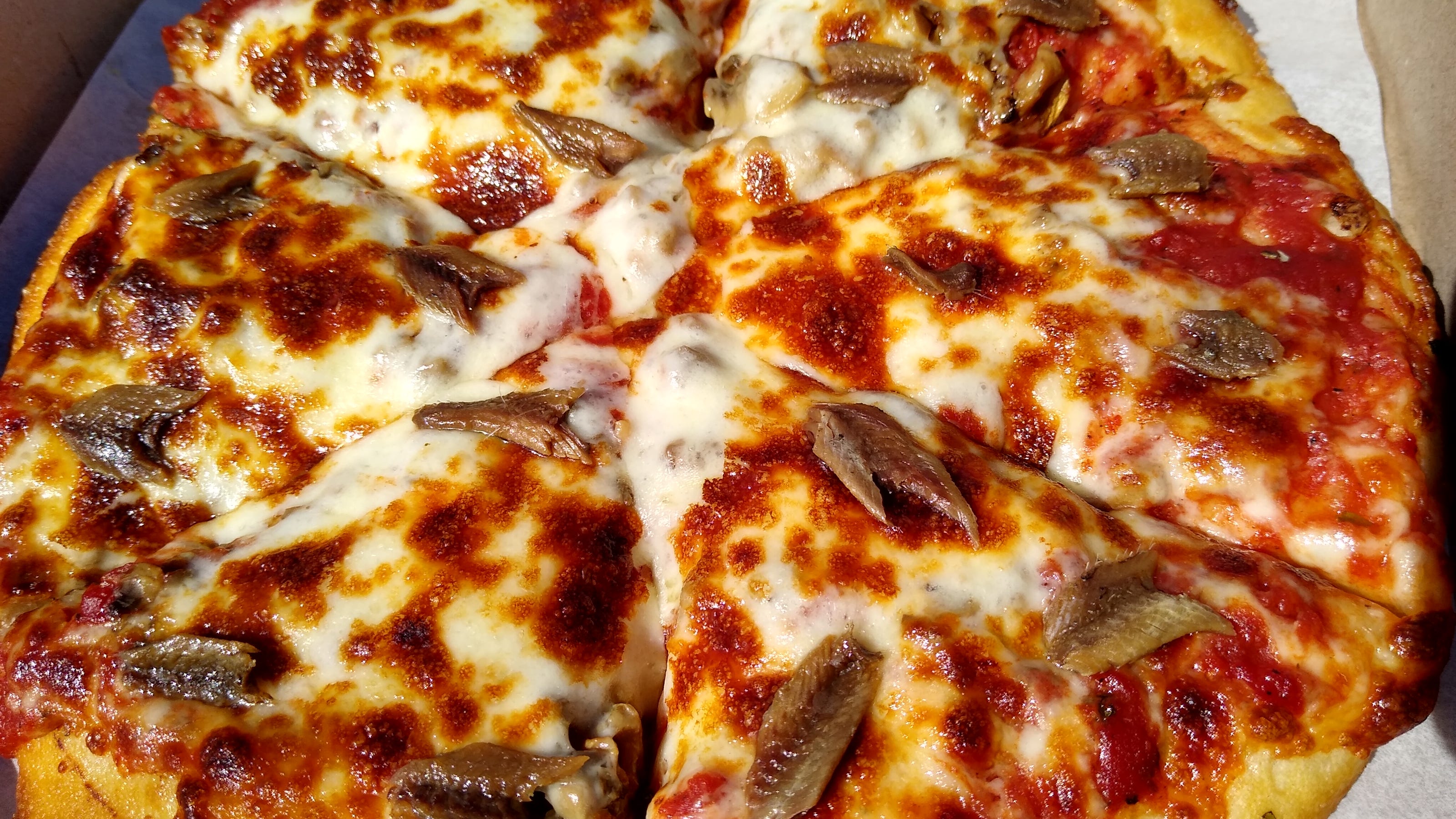 Best Pizza Toppings For Bill Ervolino May Not Fly With Everyone Best Pizza Toppings For Bill Ervolino May Not Fly With Everyone