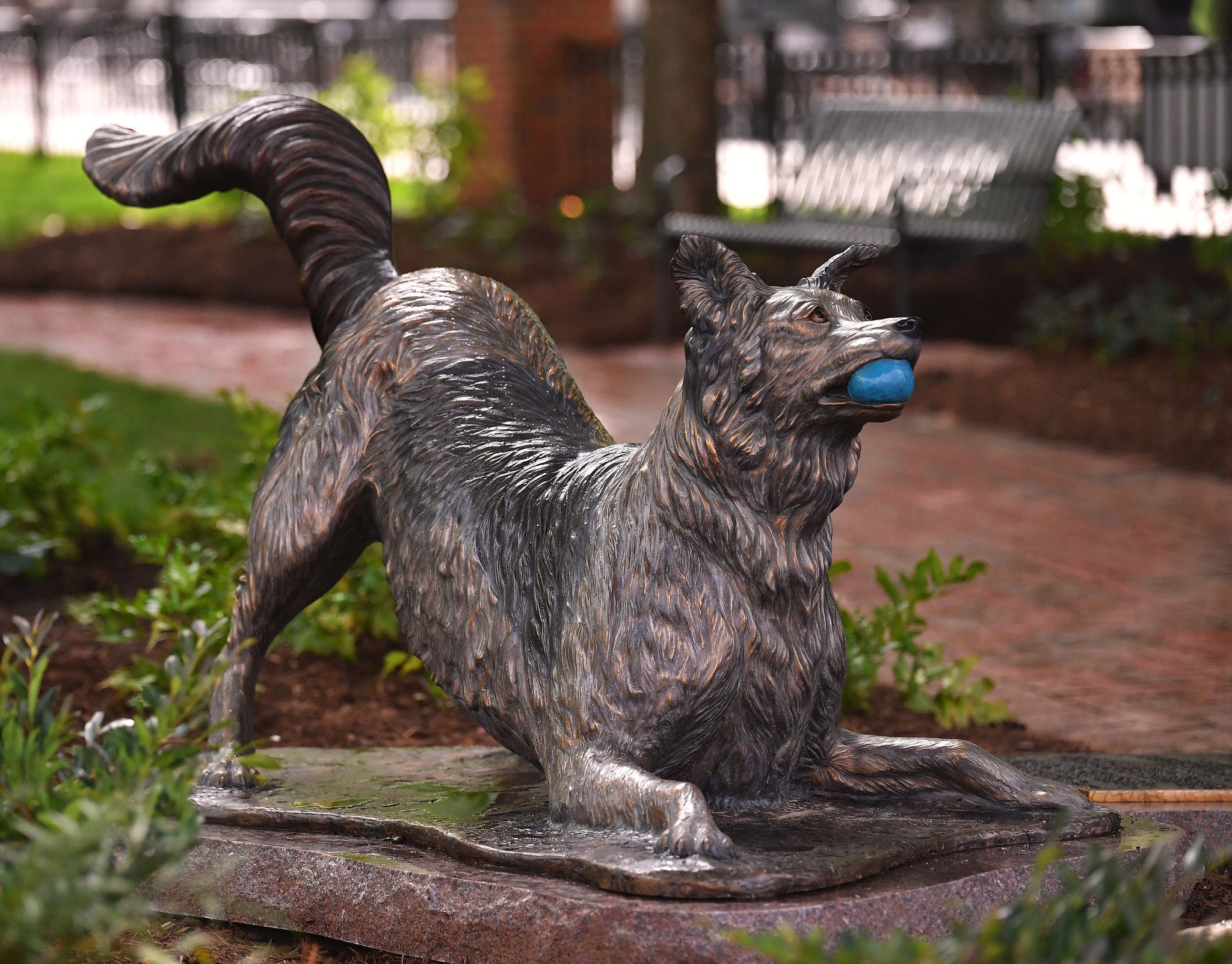 Statue of Chaser, world's smartest dog, unveiled in Spartanburg SC