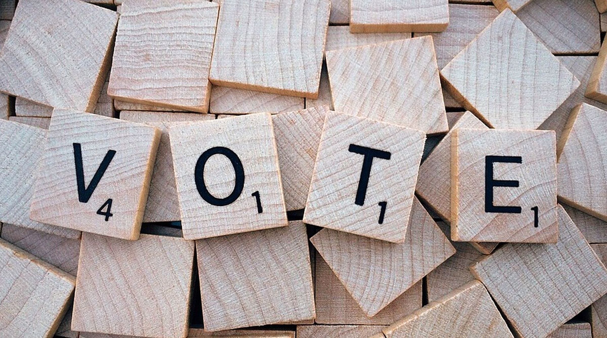 mary chaffee kari hoffman gary kaser run for two seats on brewster ...