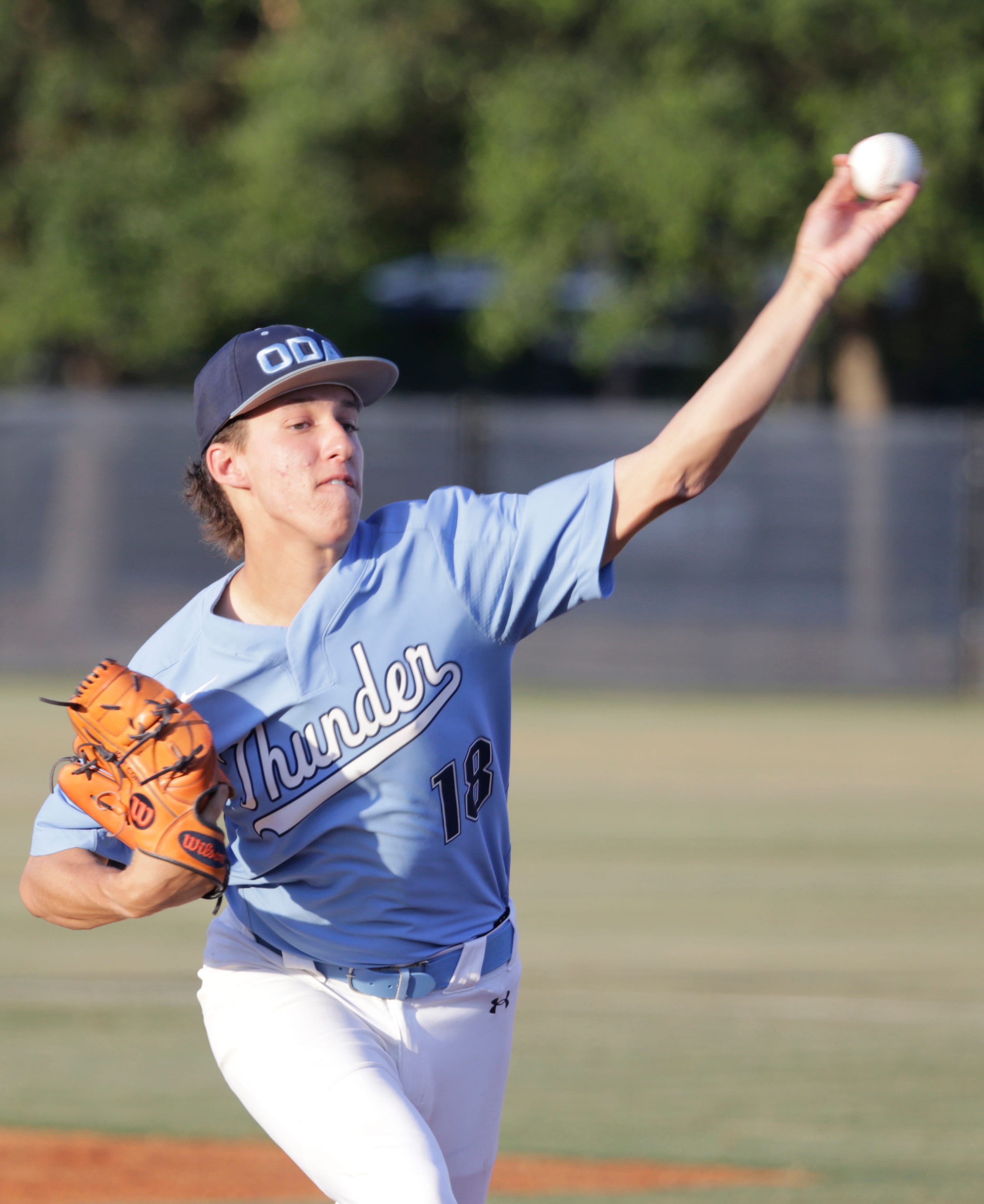 Sarasota, Manatee and Charlotte Herald-Tribune's All-Area Baseball Team