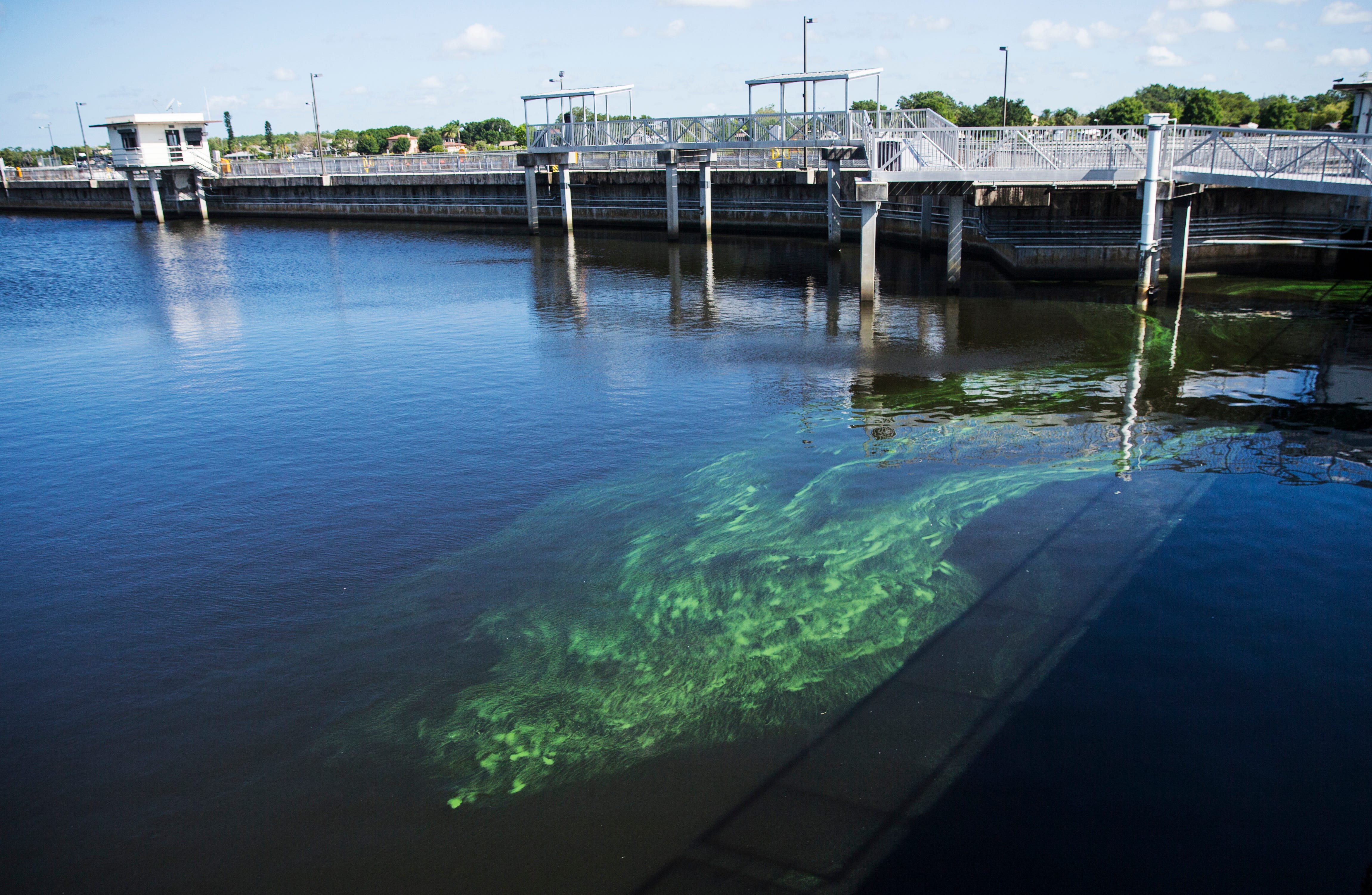Red tide, blue-green algae bloom warnings issued for Southwest Florida