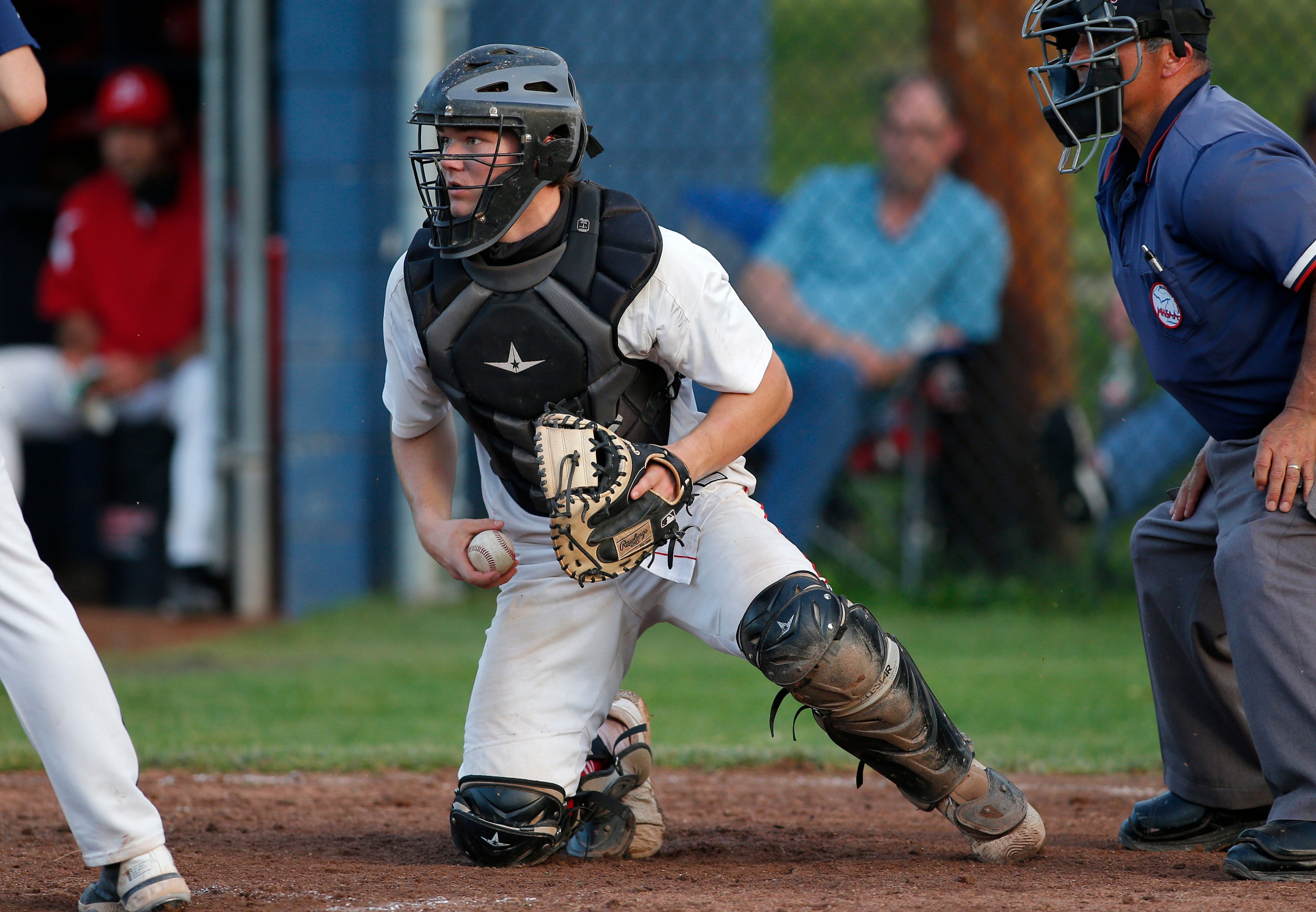 Greater Lansing high school baseball preview