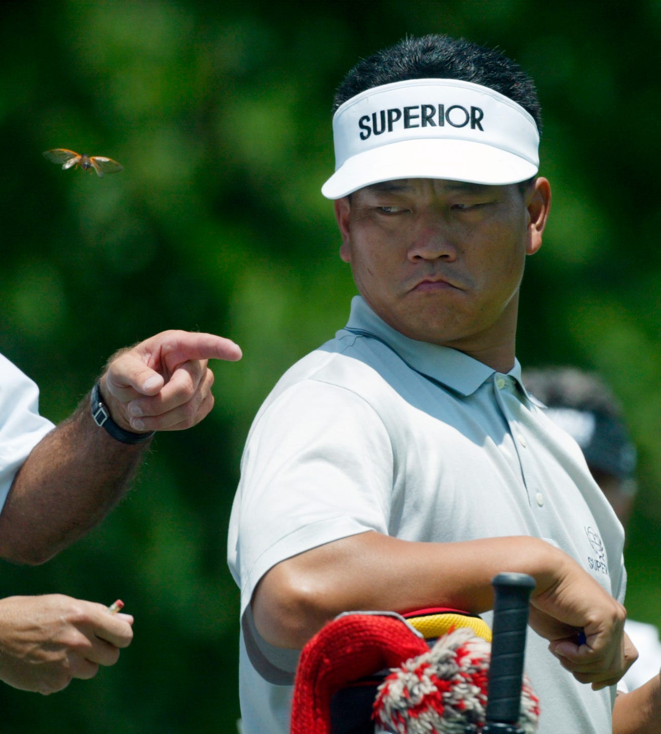 Rob Oller: Memorial Tournament players face cicadas again after 17 years