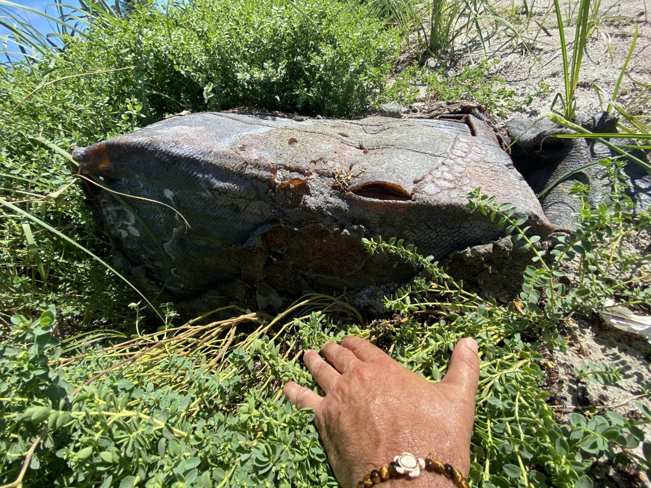 Palm Beach rubber bale mystery may be solved with WWII connection