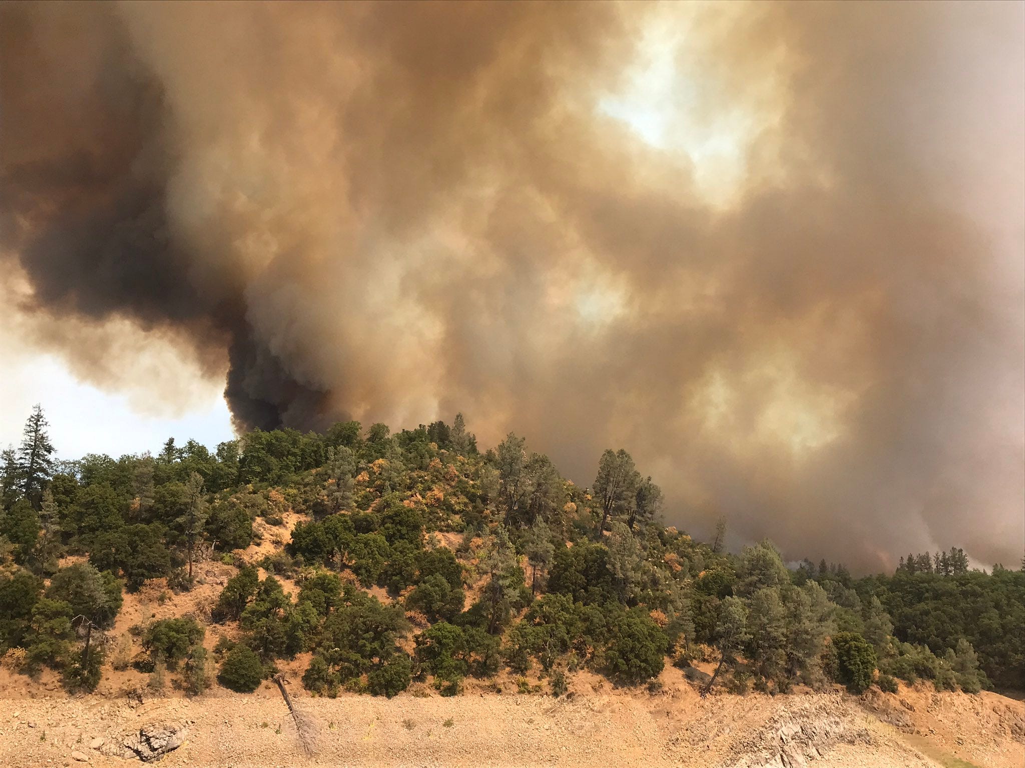 Salt Fire 20 miles north of Redding 1,000 acres as of last estimate