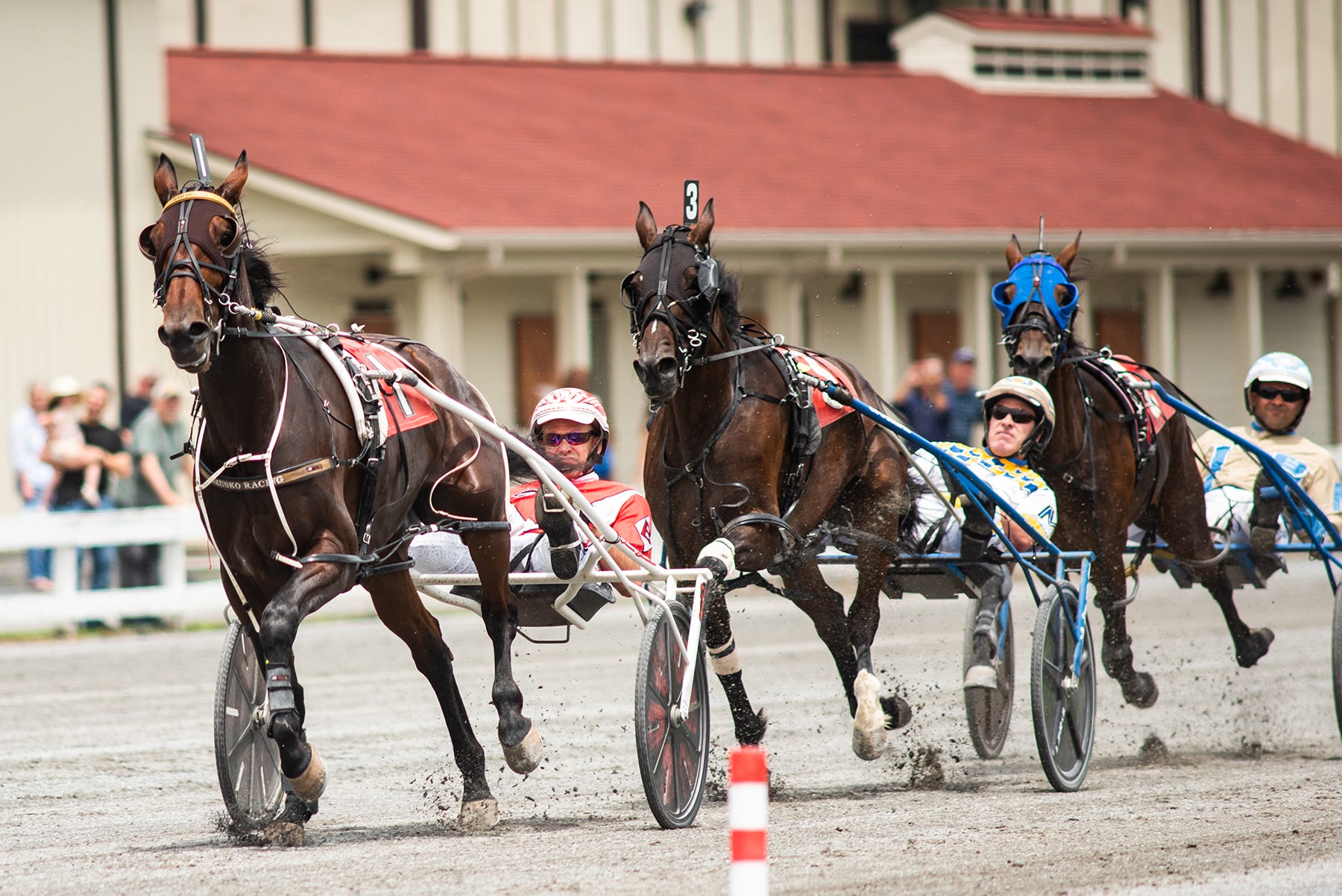 Young horses gain valuable experience in Landmark Stakes races