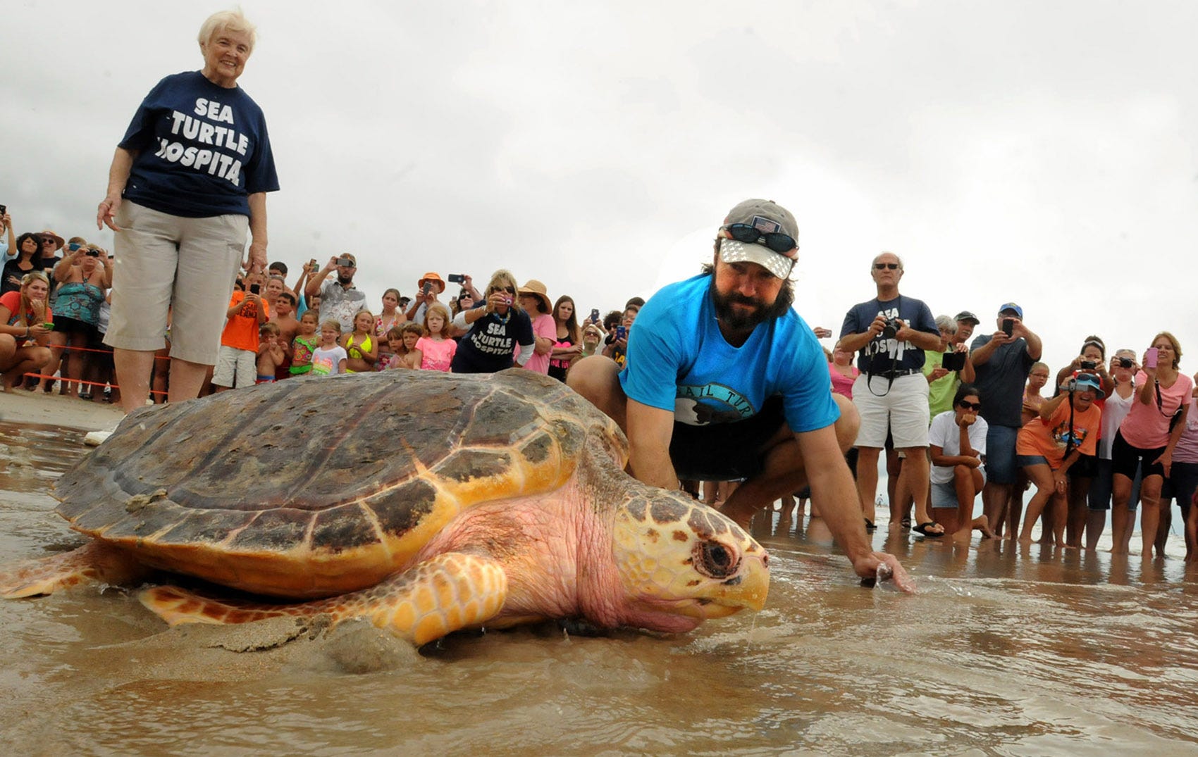 Karen Beasley Sea Turtle Rescue in Surf City known across the country